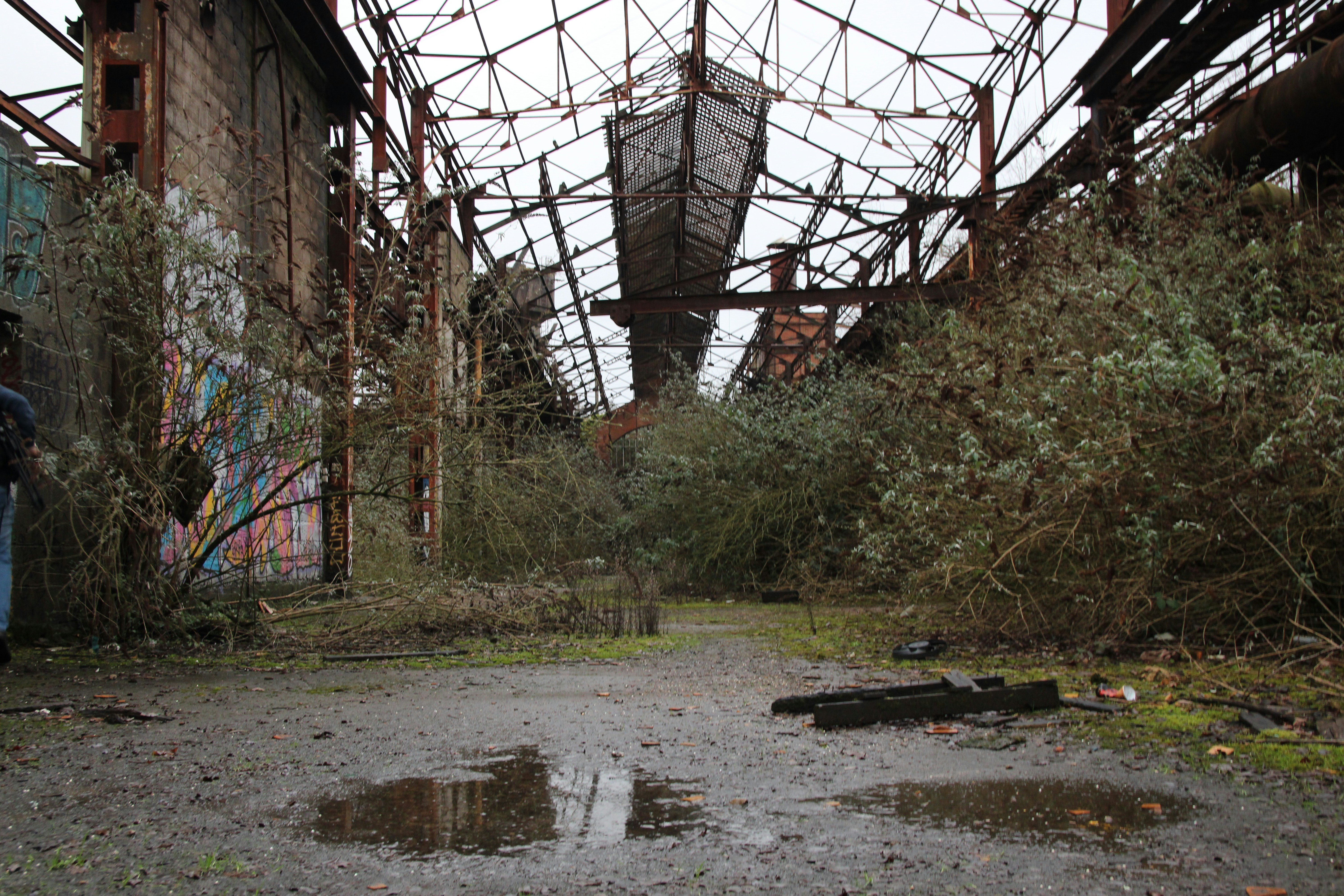Ivy-Cloaked Trusses Loom Over a Ruined Industrial Cathedral