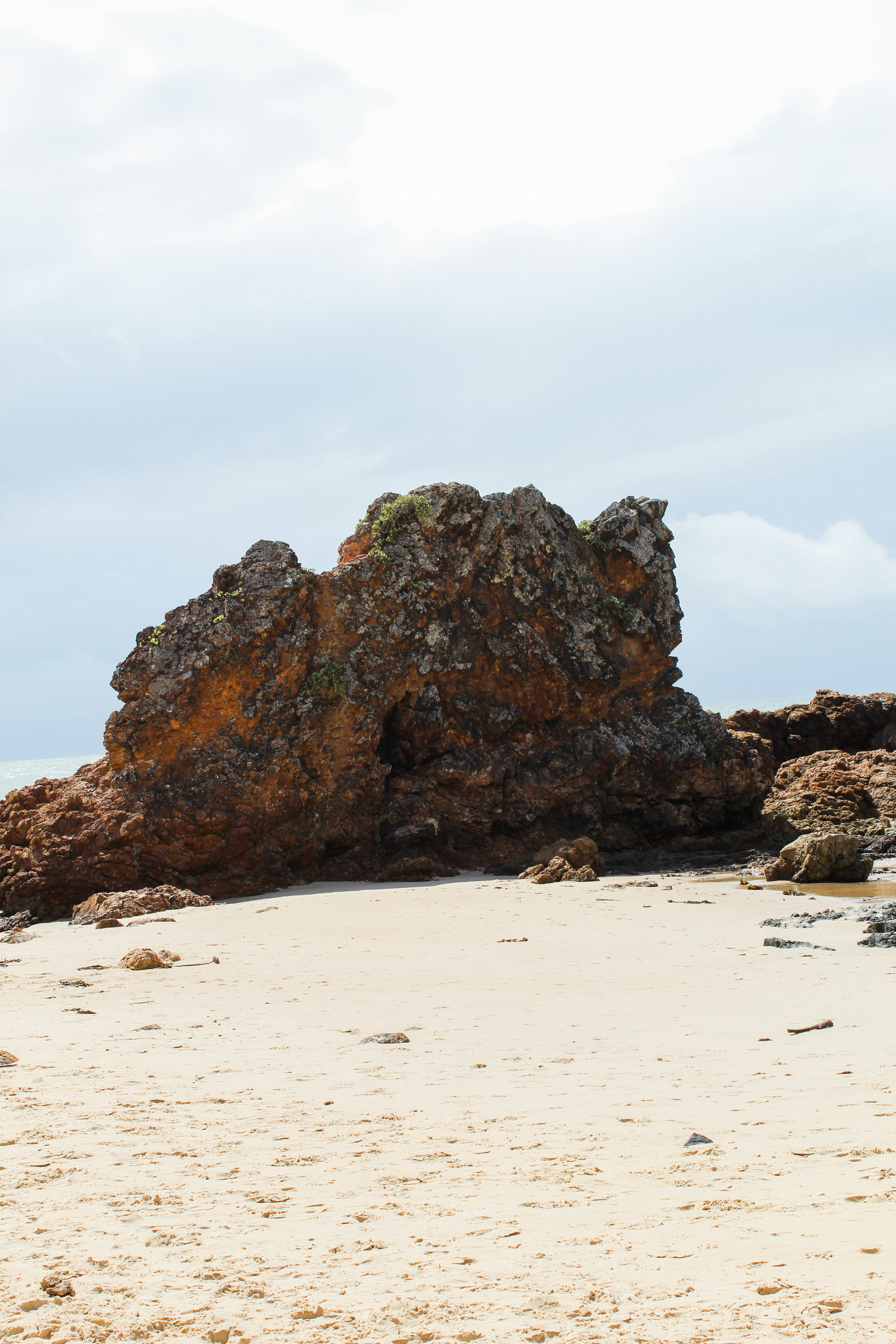 Lava-Toned Sentinel at the Quiet Beach Edge