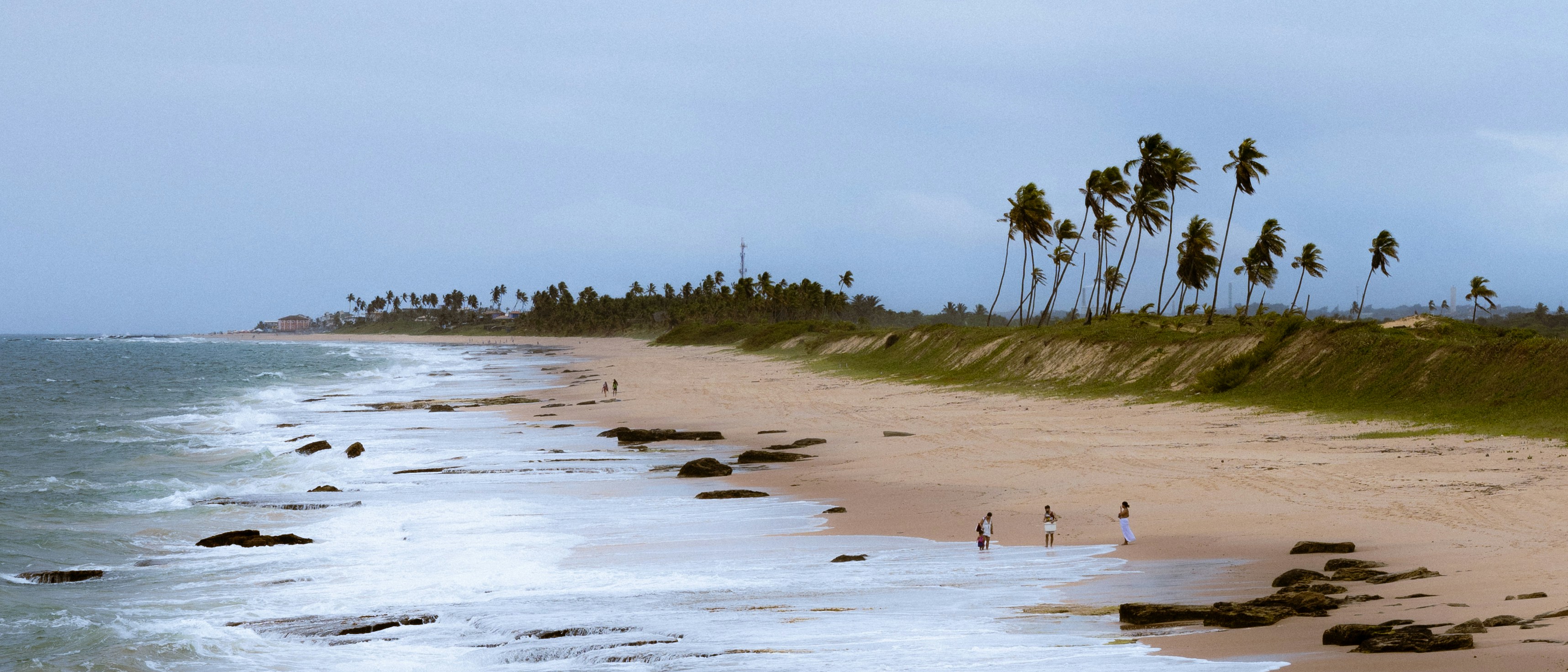 Windward Promenade: Beachgoers and Palm-topped Dunes