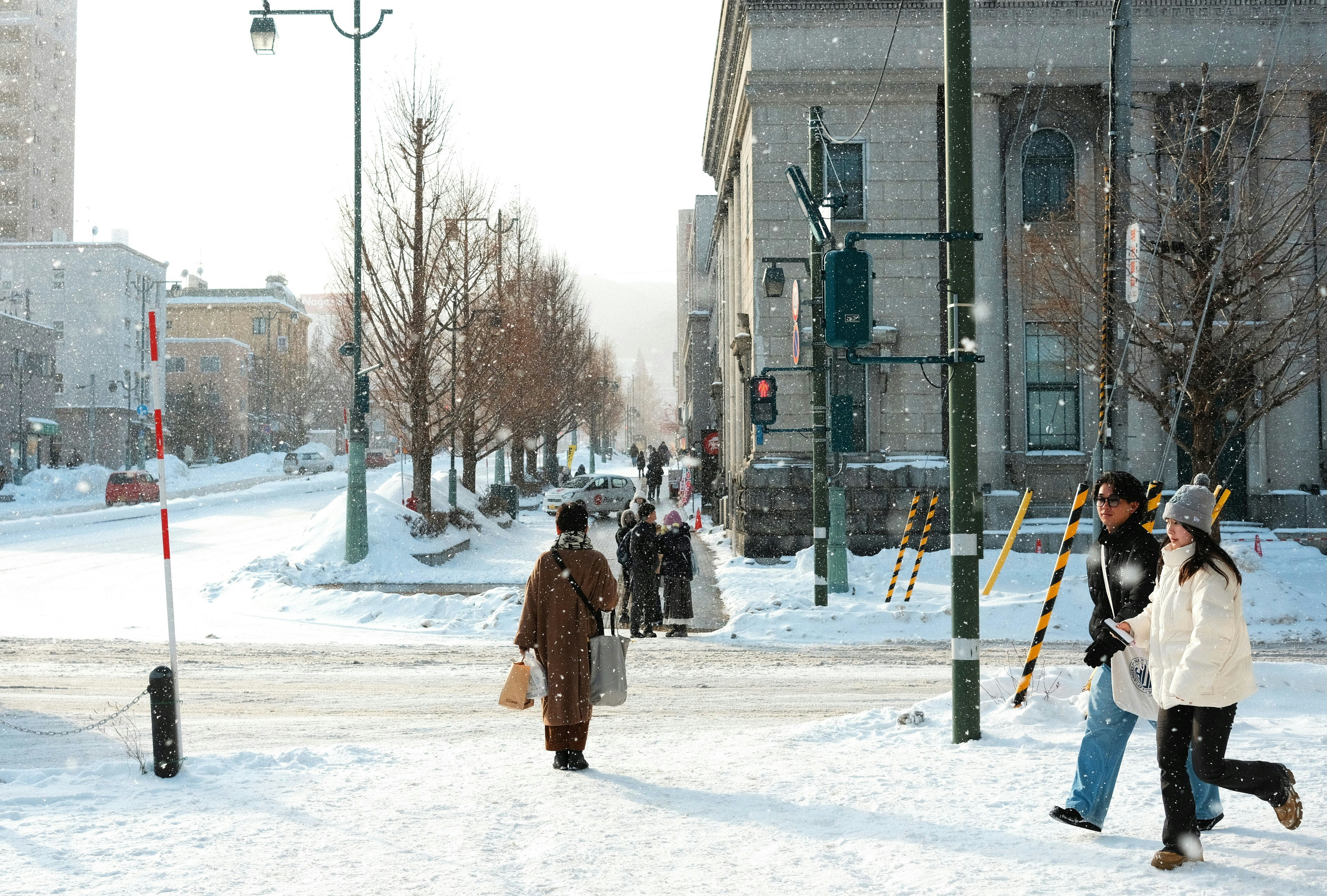 Pedestrians traverse a snow-covered city street under gentle snowfall, contrasting with the muted architecture and vibrant winter wear.