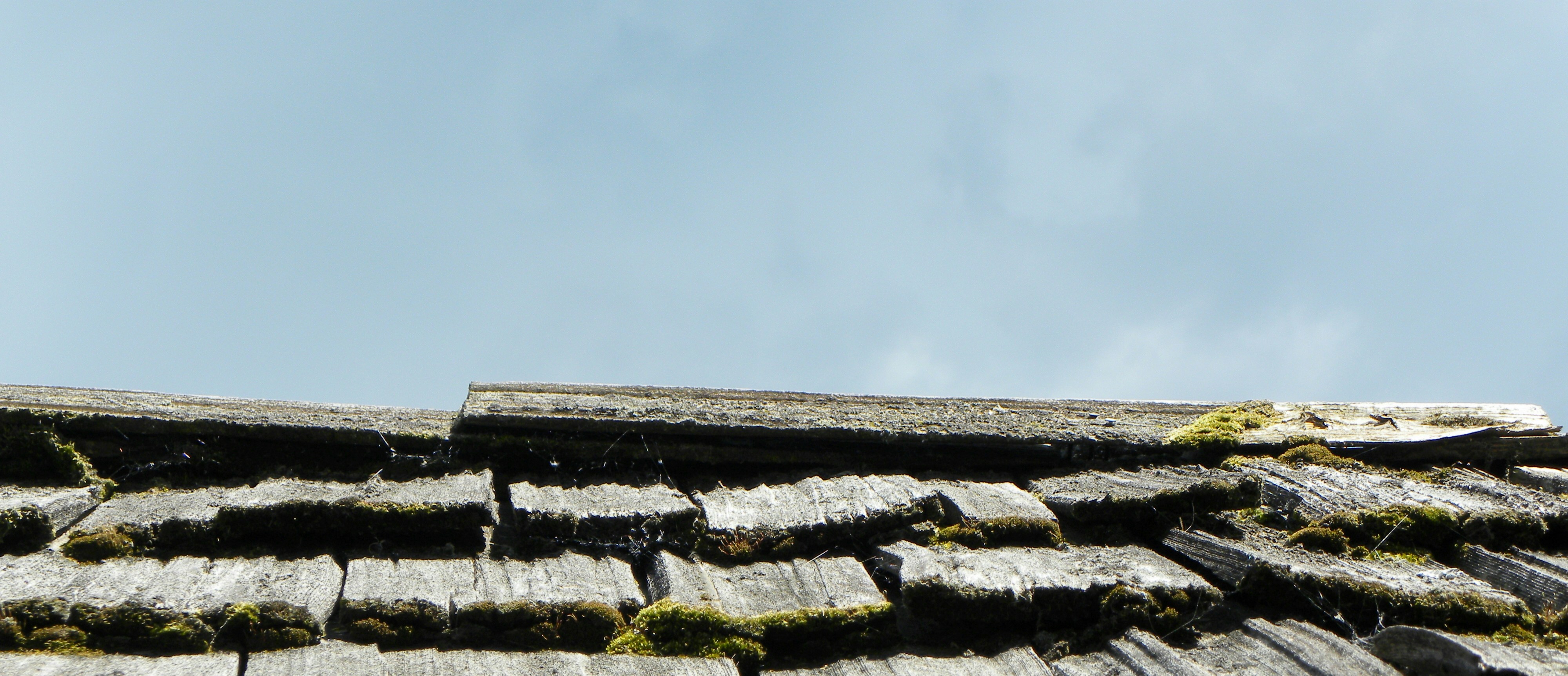 Moss-Green Slate Rows Under a Quiet Blue Sky