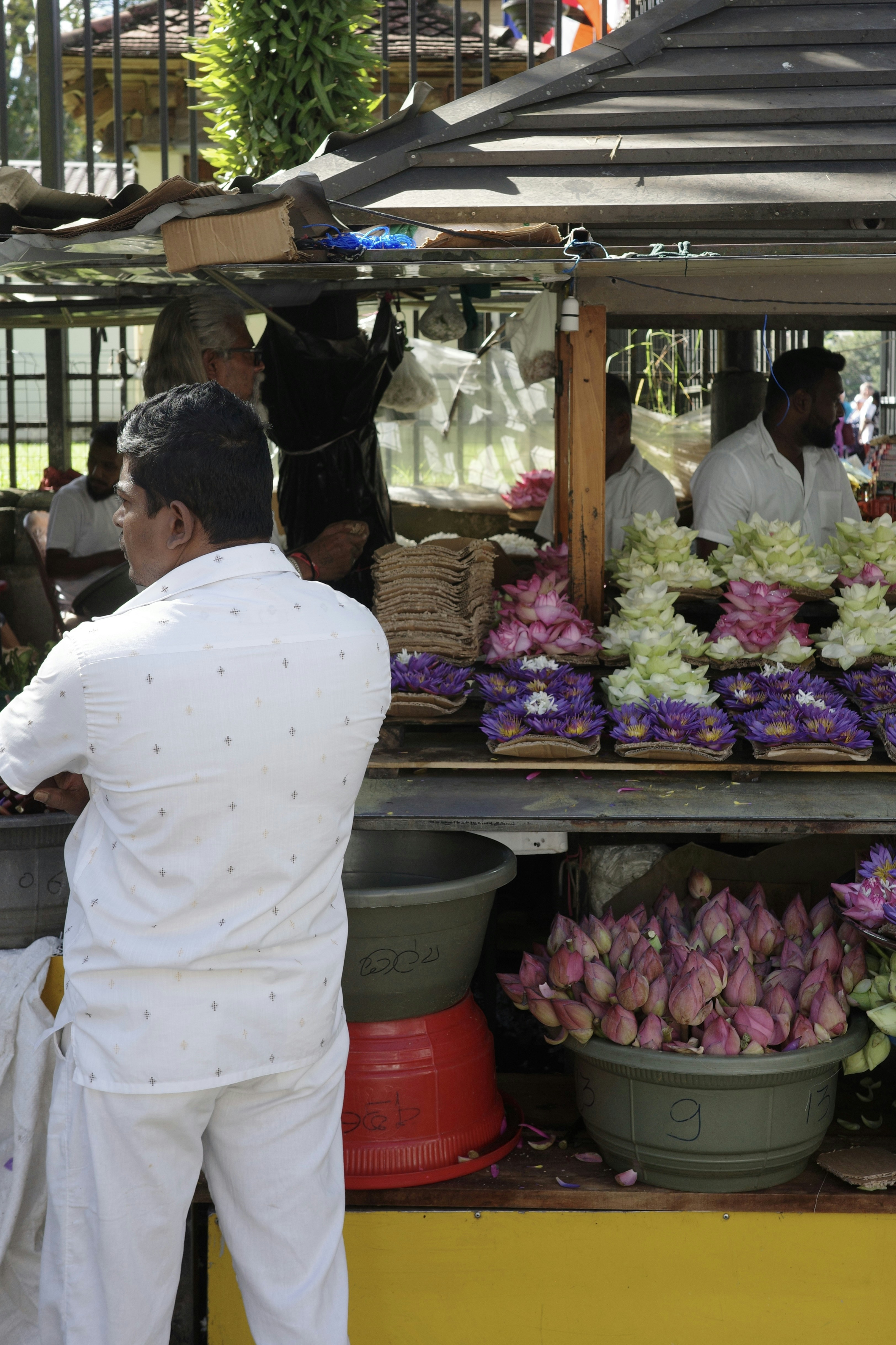 A man standing in front of a fruit and vegetable stand