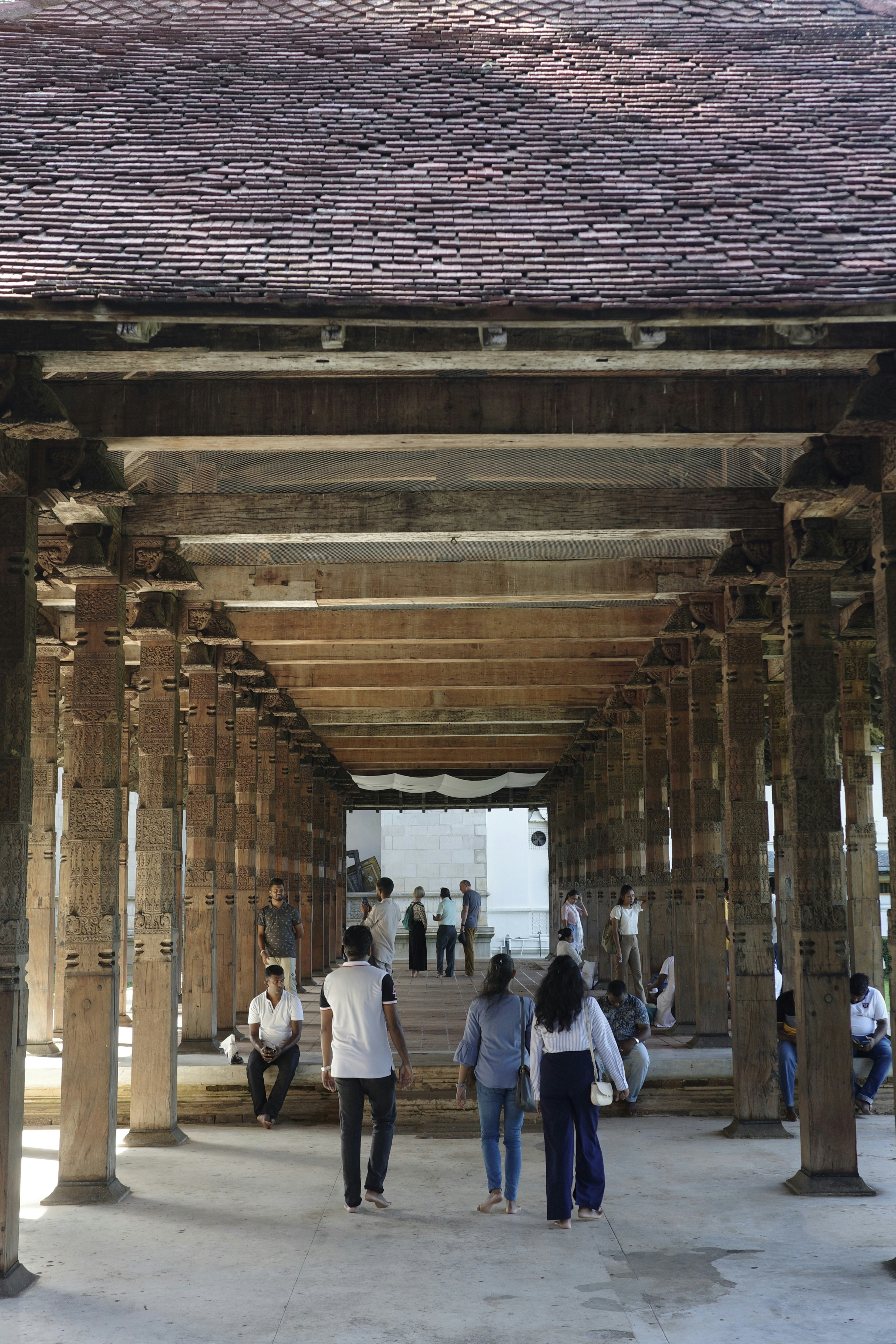 Photo by Boyan Ji with Ricoh GR IIIx