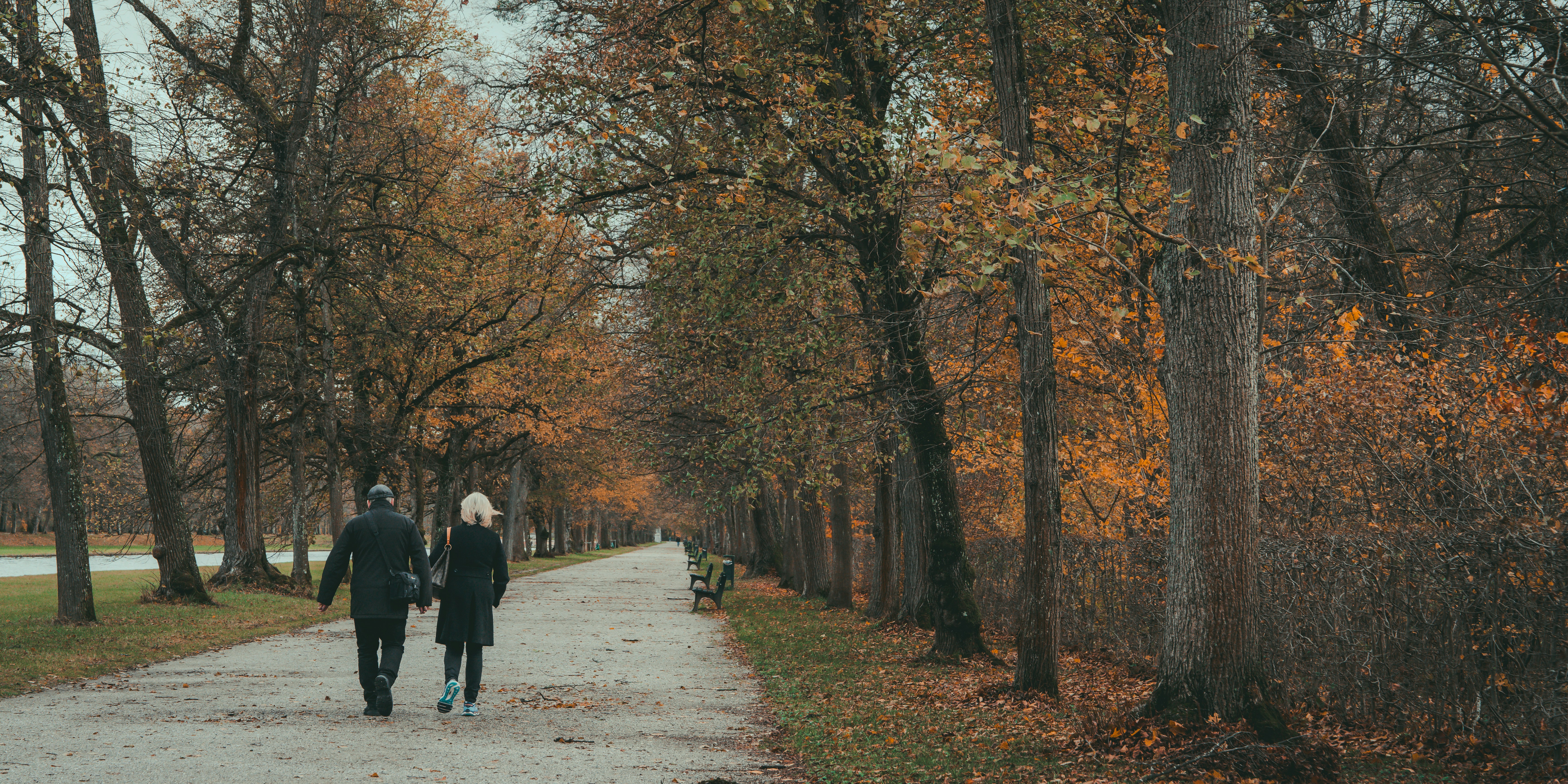 Photo by SCMJ with Sony Alpha 7 IV