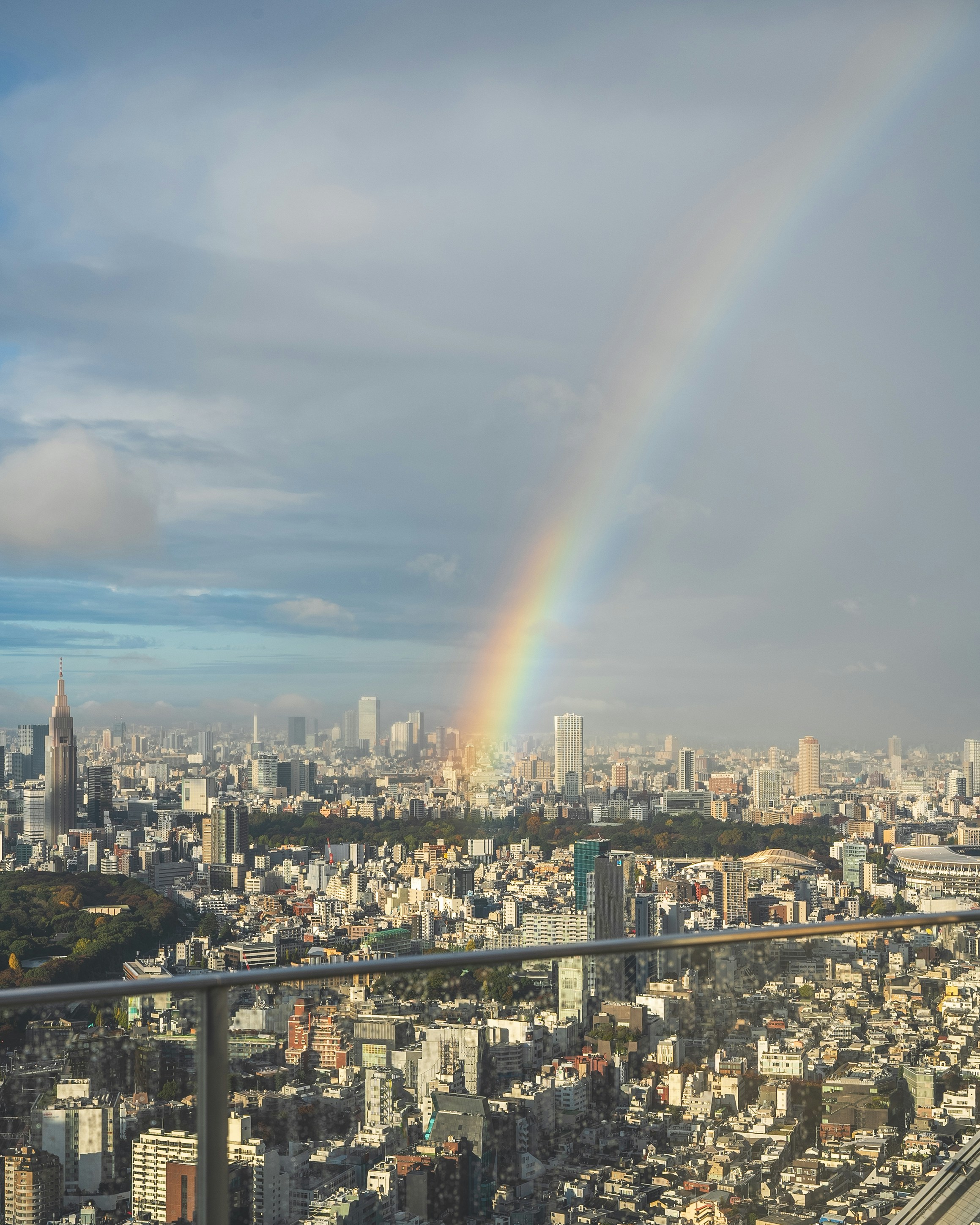 Rainbow Arcs Over a Rain-Kissed Metropolis from a Rooftop View