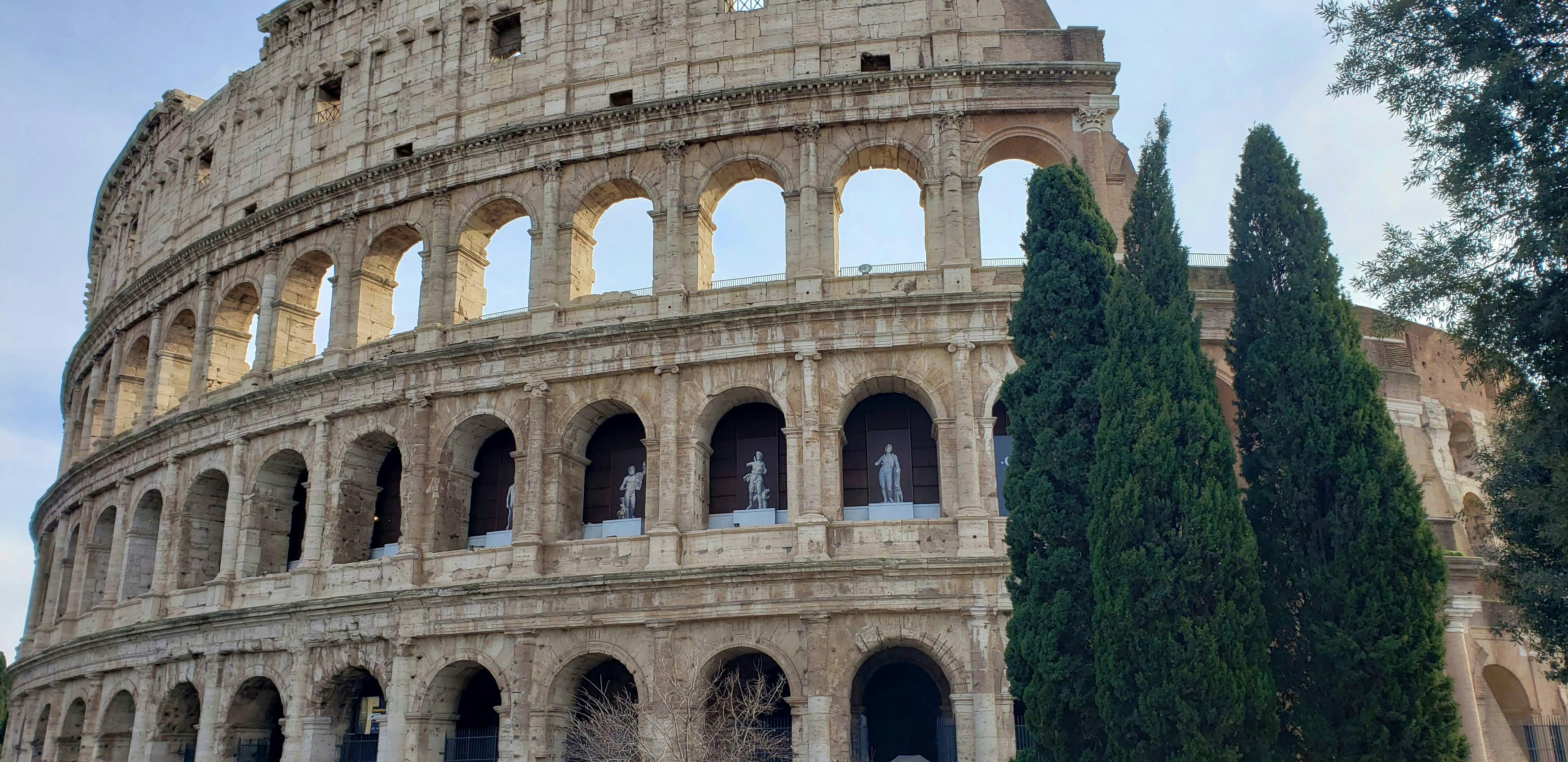 Colosseum facade with sunlit arches and towering evergreens.