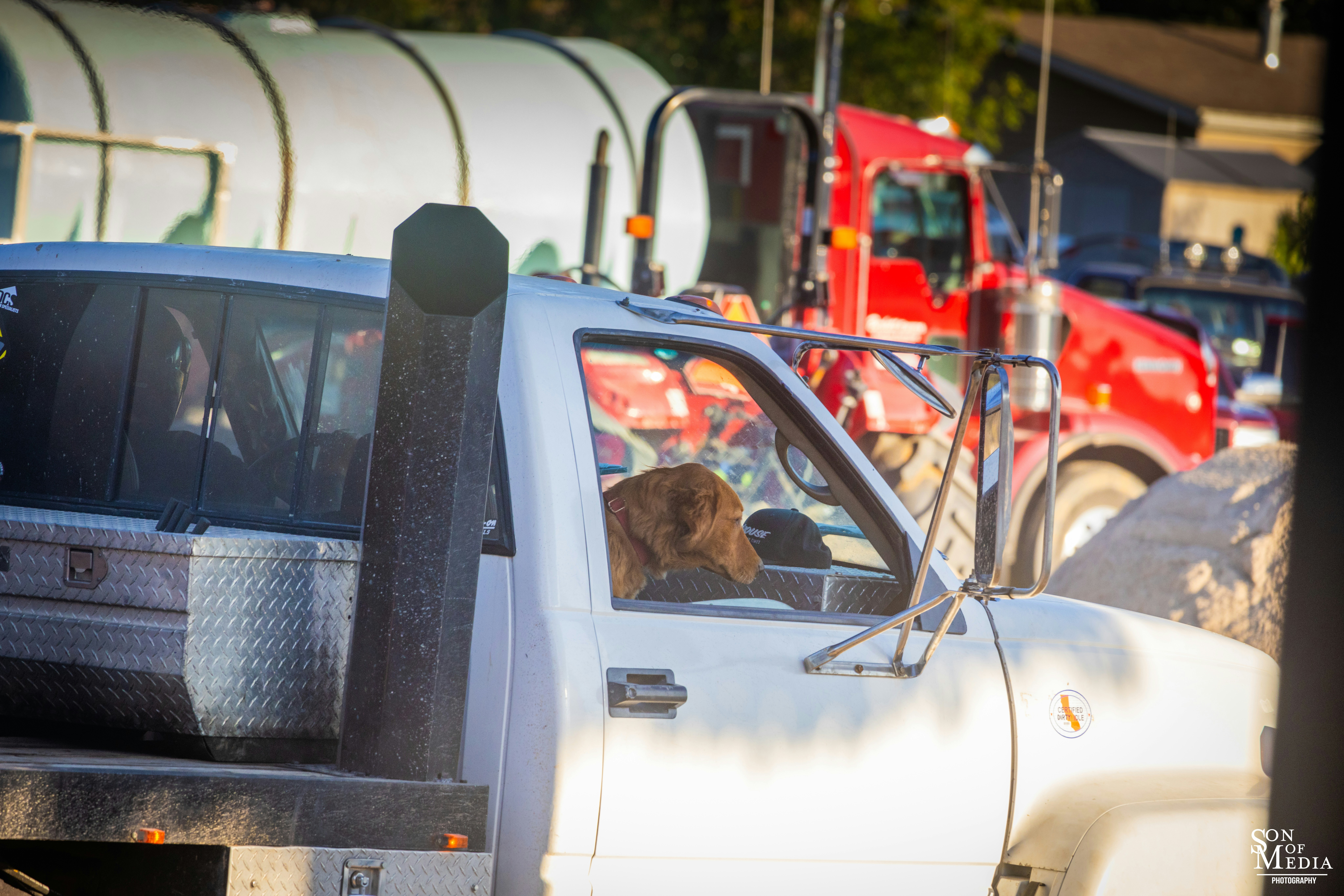 A dog sitting in the drivers seat of a truck photo – Free Dog Image on ...