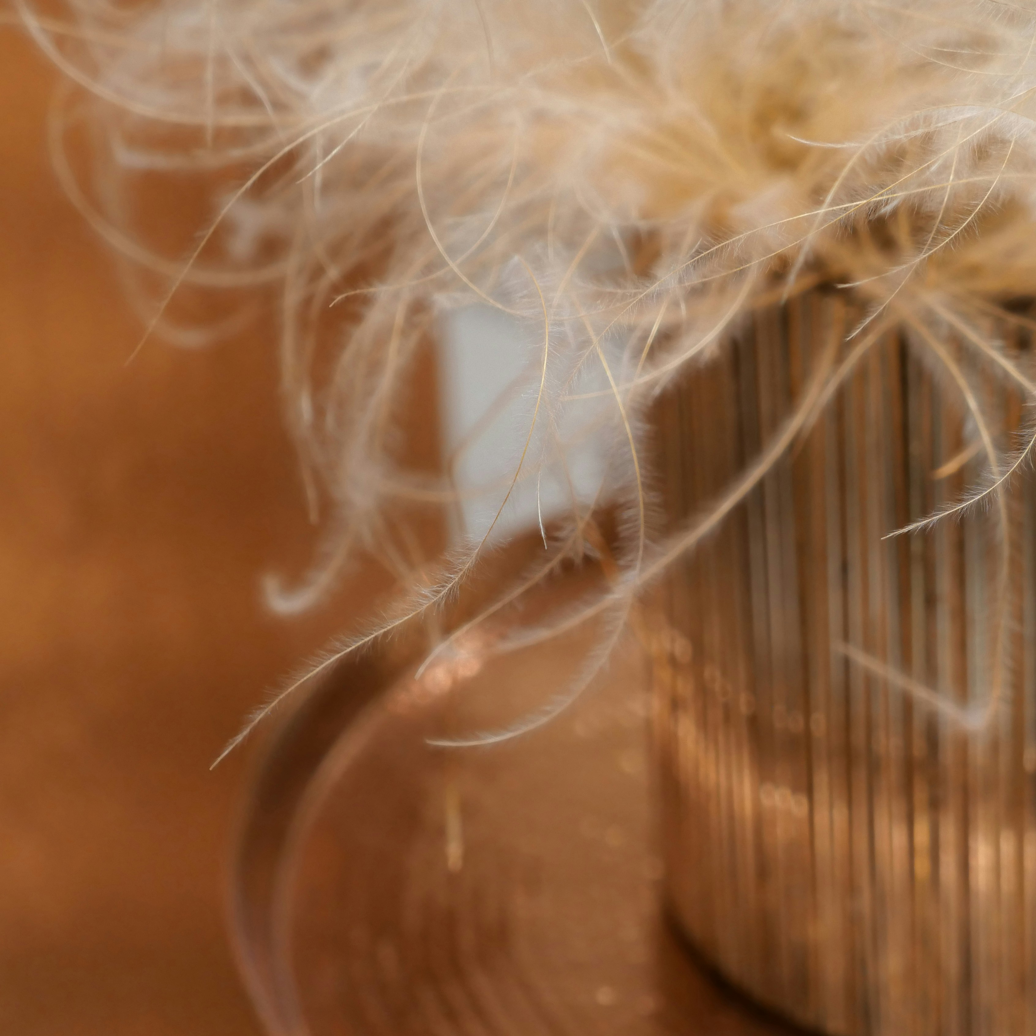 A close up of a metal container with feathers on it photo – Free Copper ...