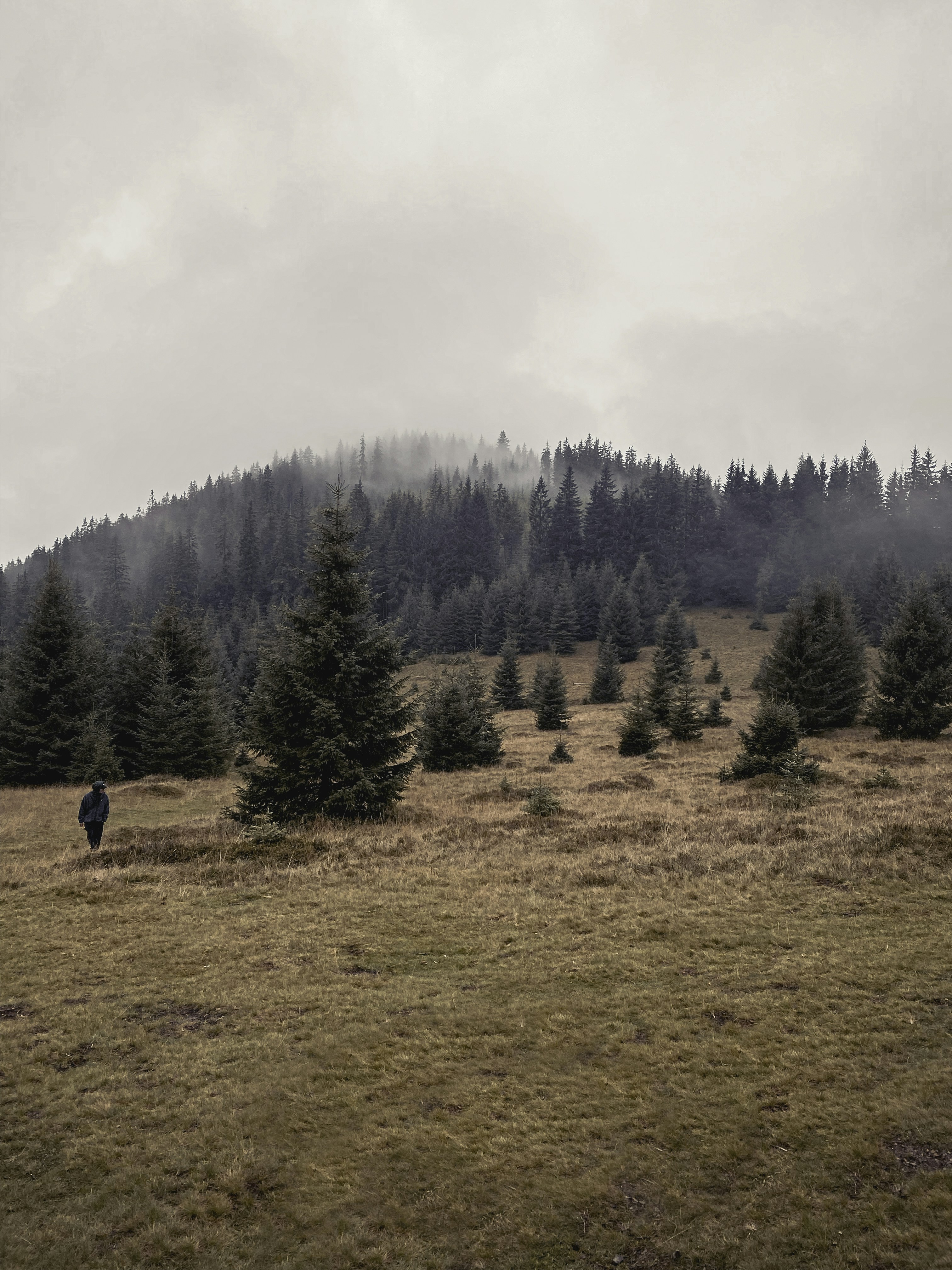 Fog in Mountains, Verkhovyna, Ukraine