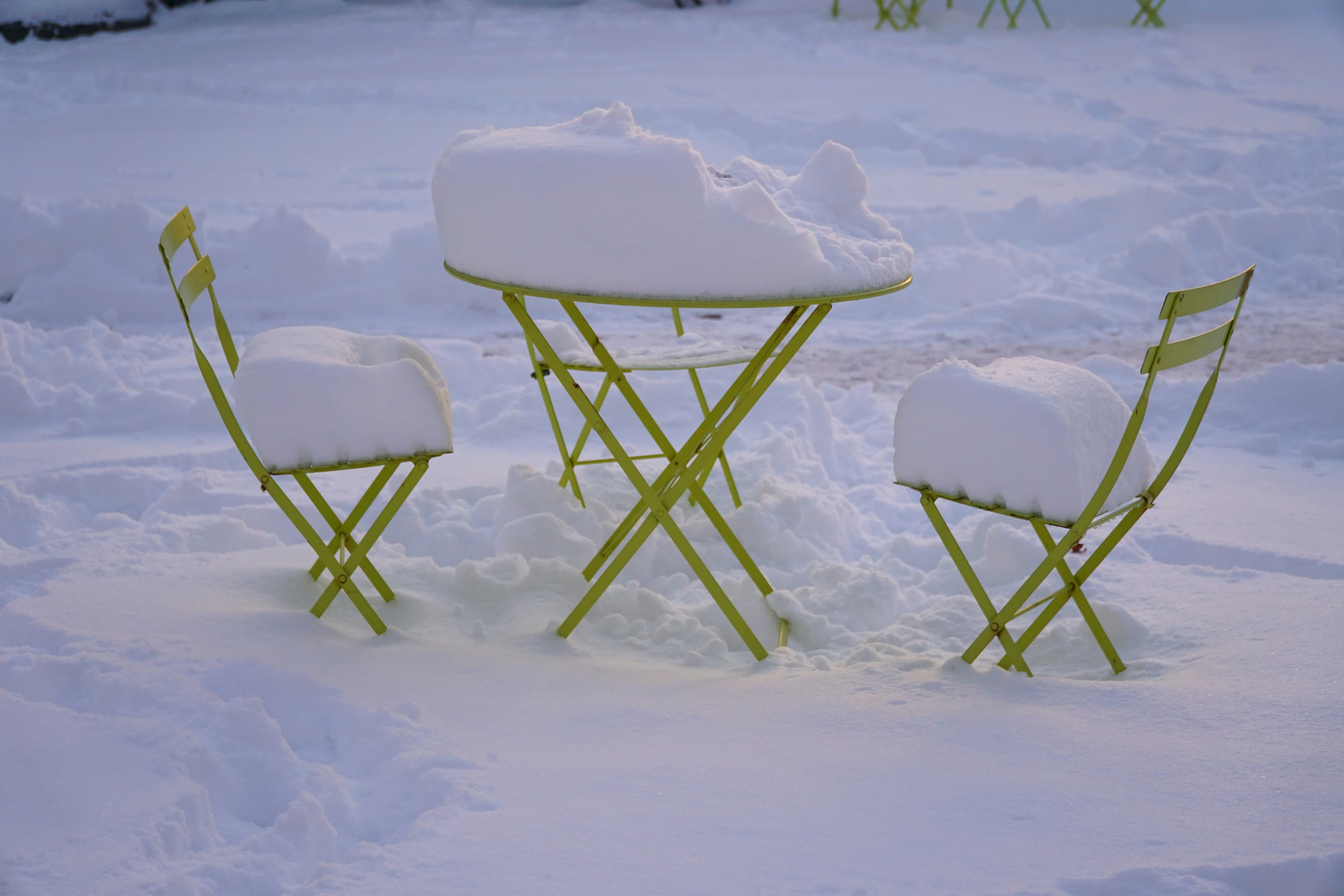 Snowbound Greens: a Quiet Table Set in Winter Light
