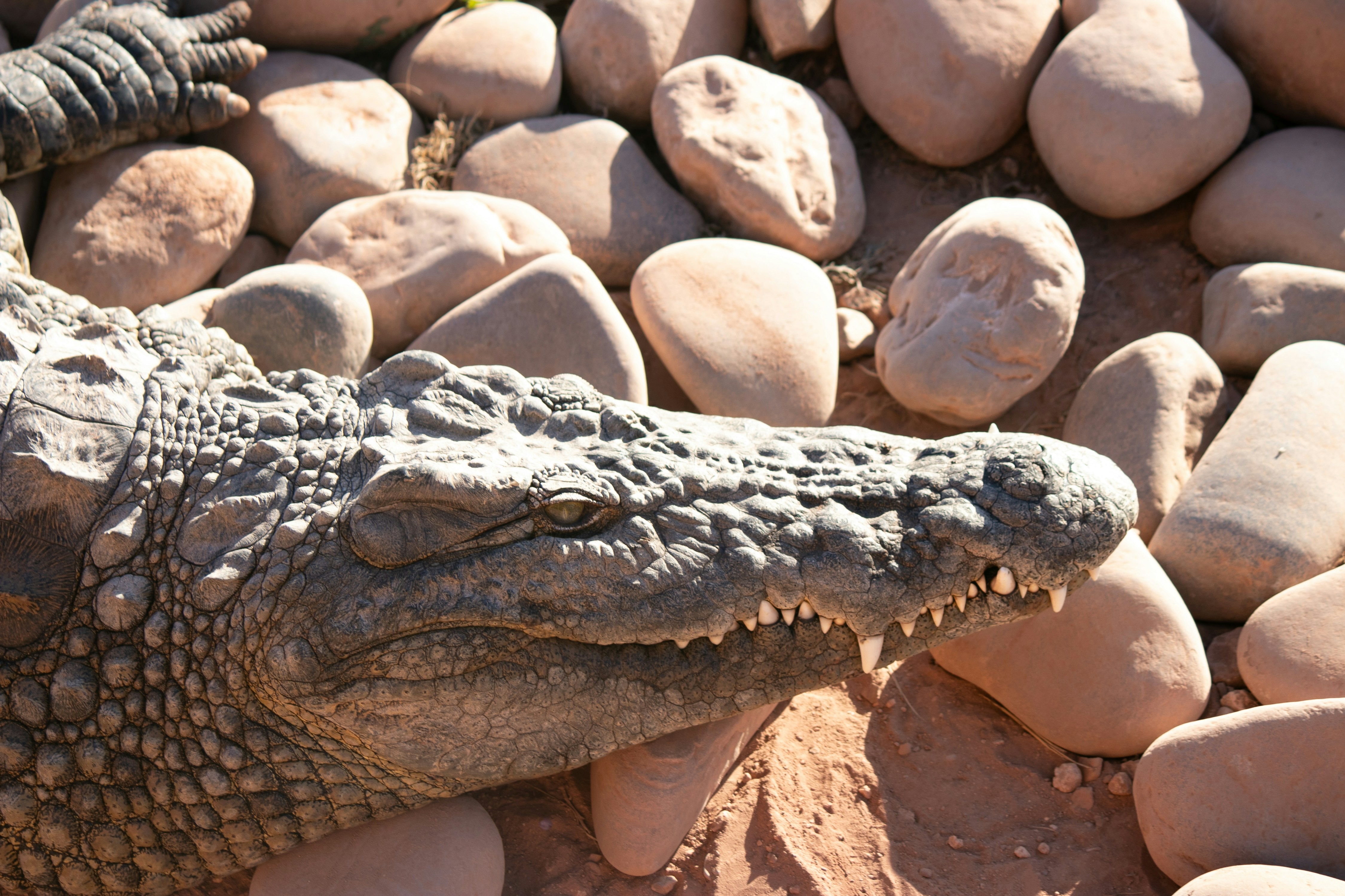 Photo by Jack Walker with Canon EOS 80D