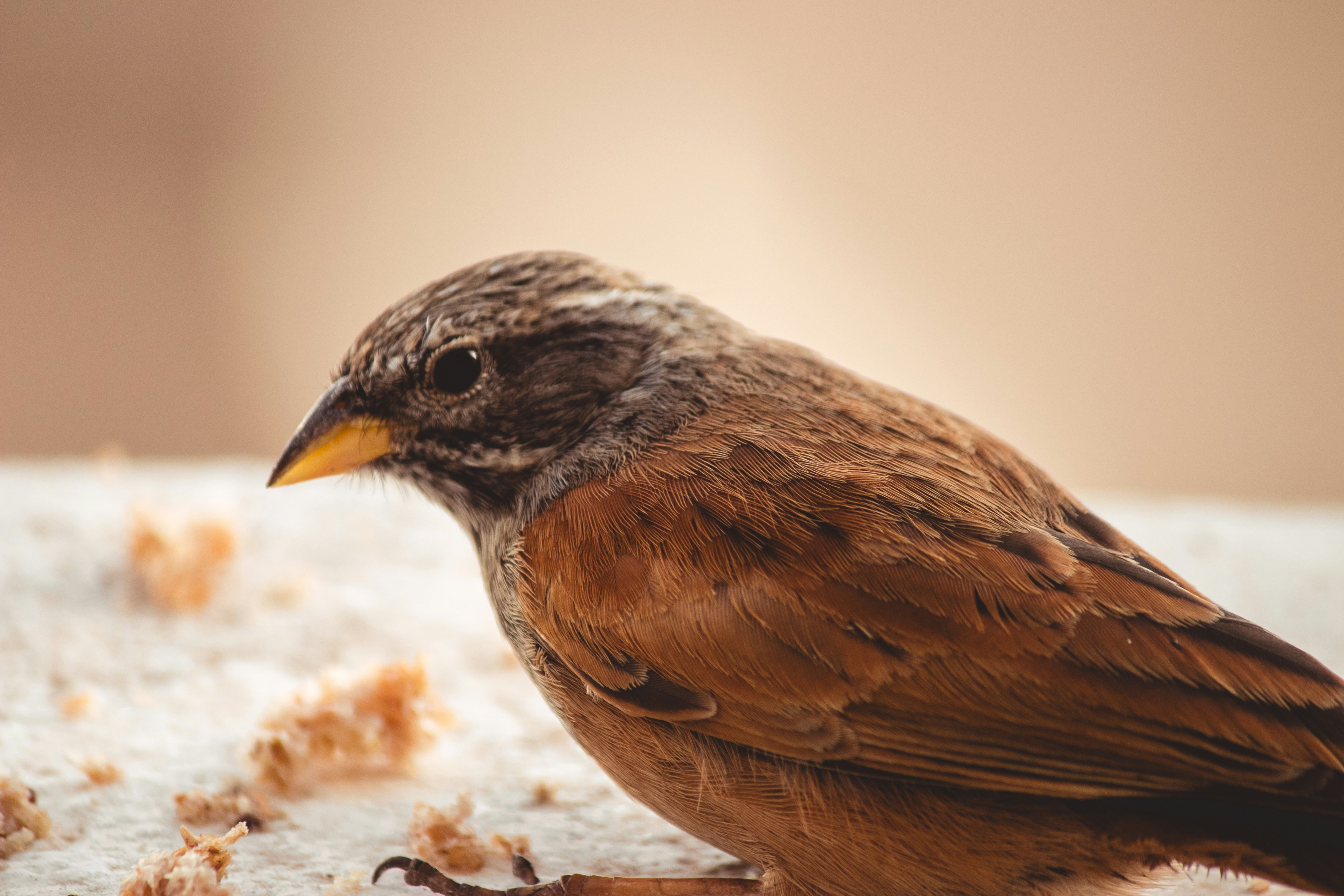 Photo by Jack Walker with Canon EOS 80D