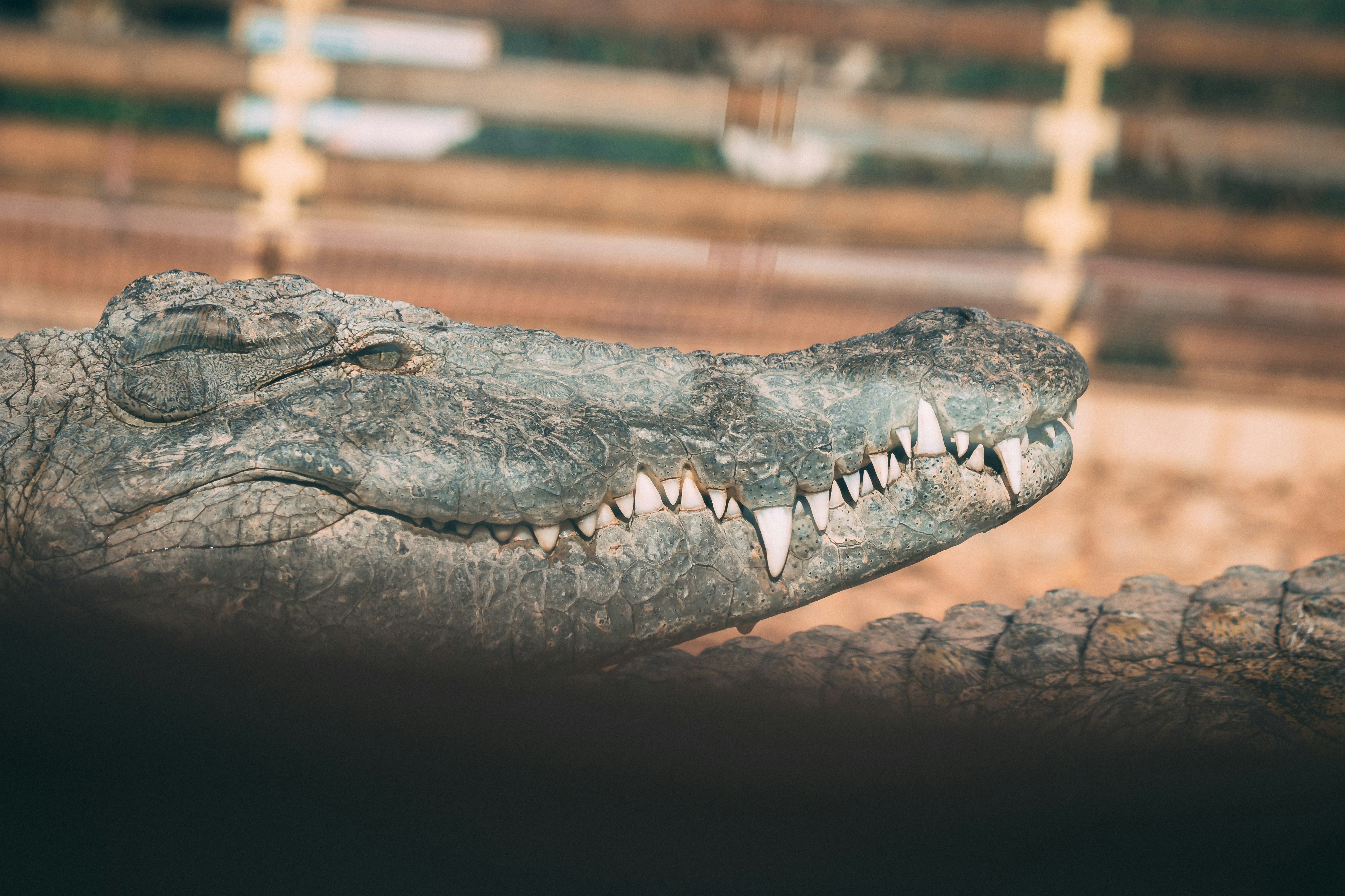 Photo by Jack Walker with Canon EOS 80D