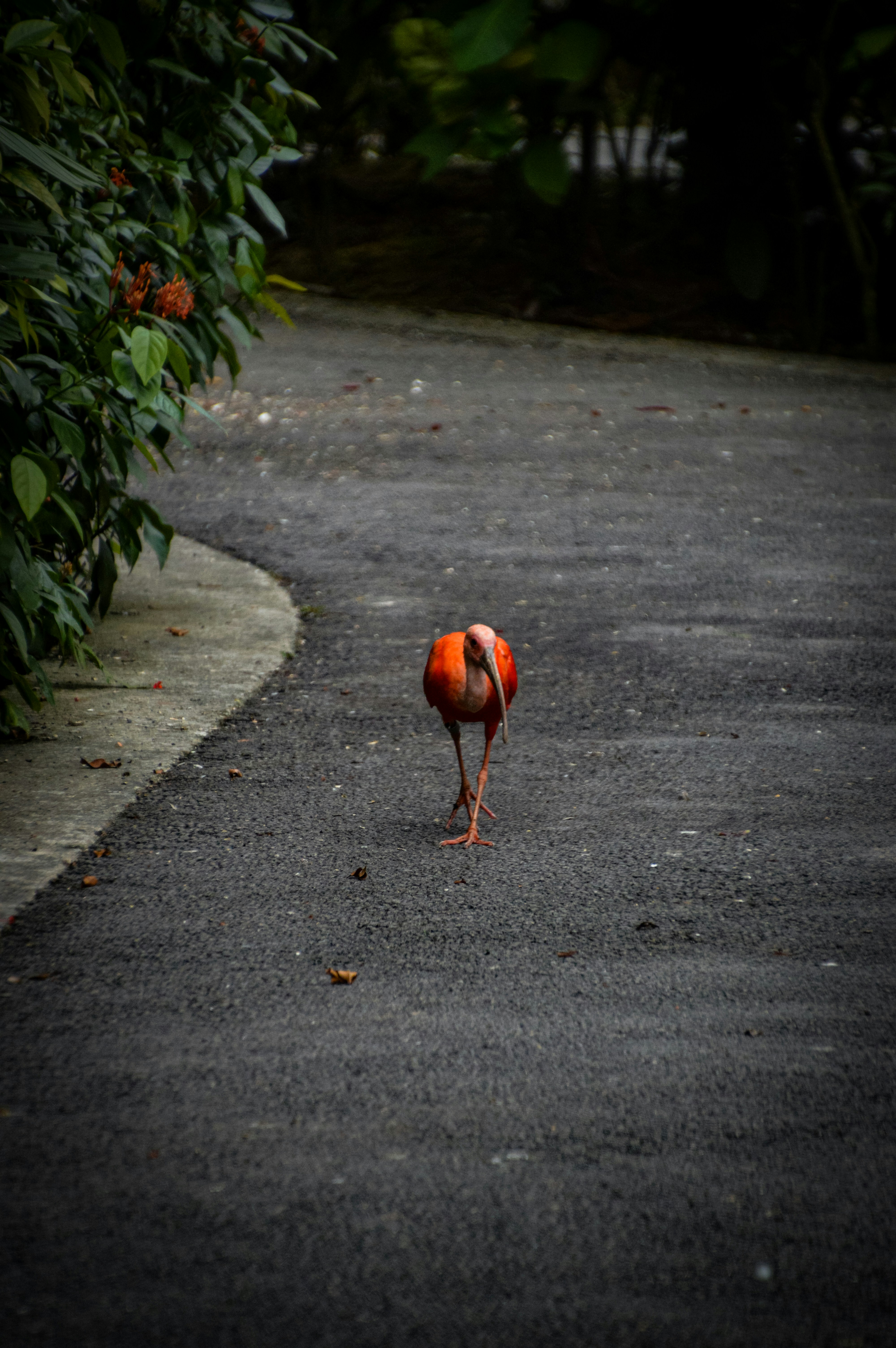 Photo by Saksham Vikram with Nikon D3200