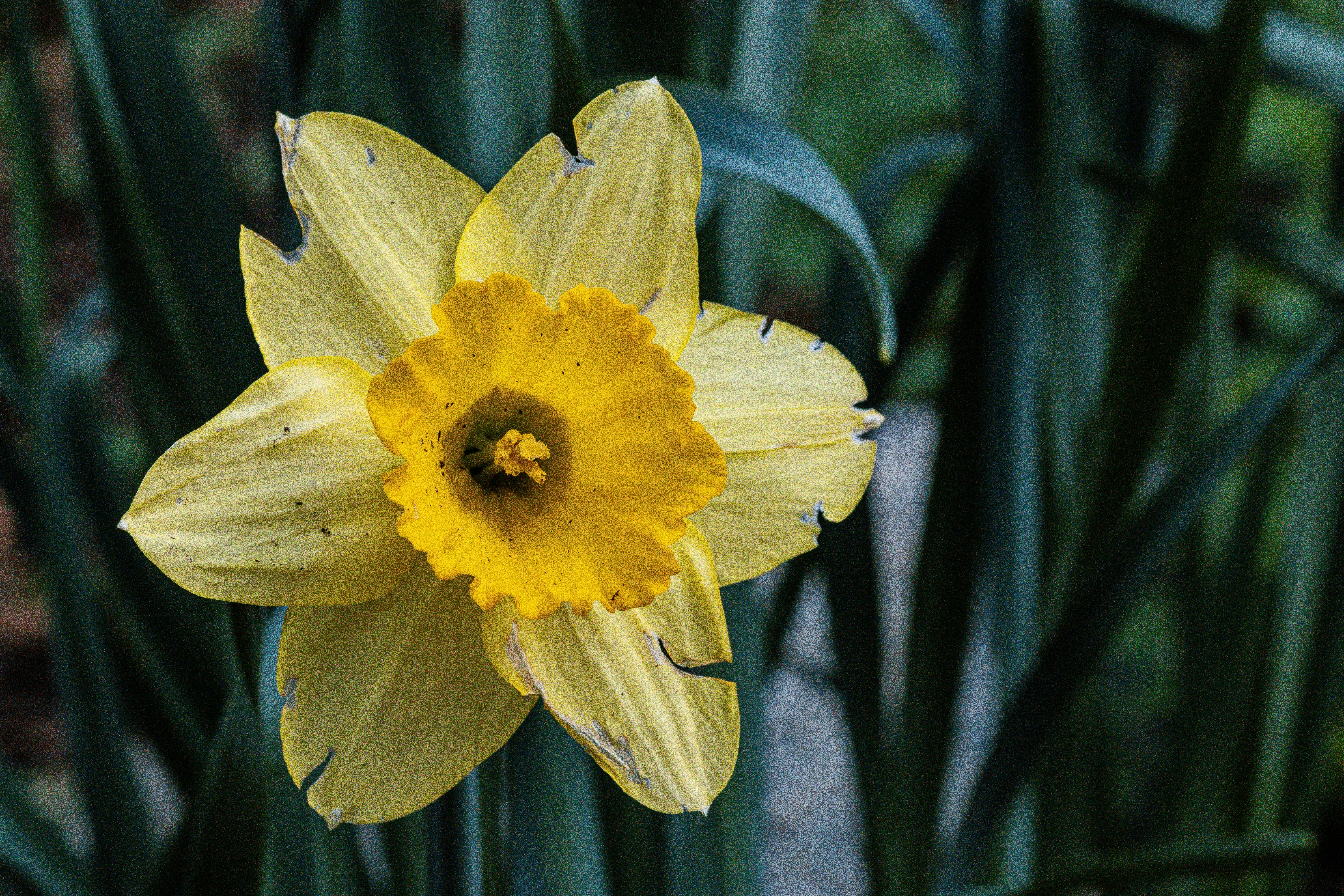 Photo by William F. Aicher with Canon EOS 80D