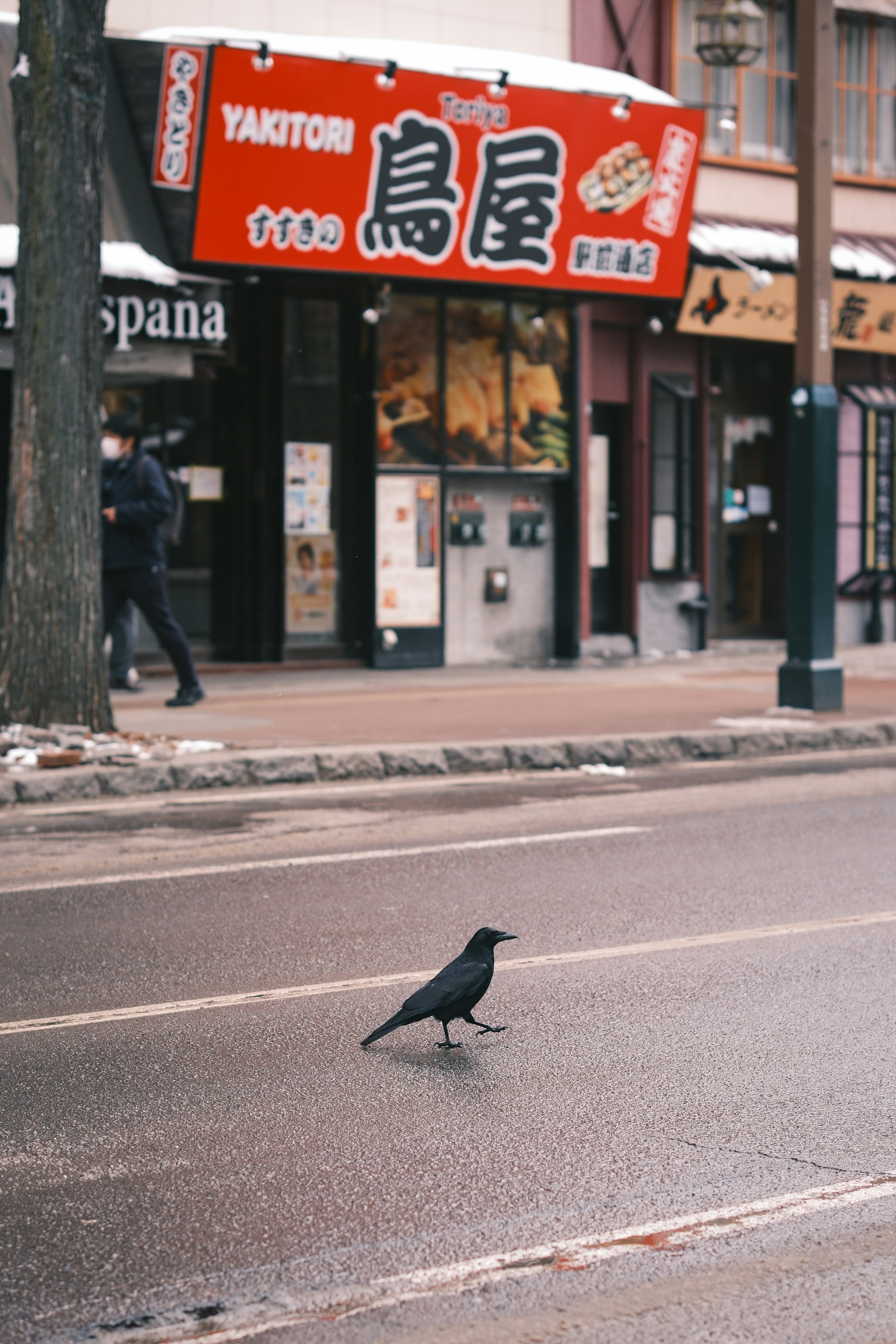 Crow on a Rain-Wet Street Beneath a Bold Japanese Sign