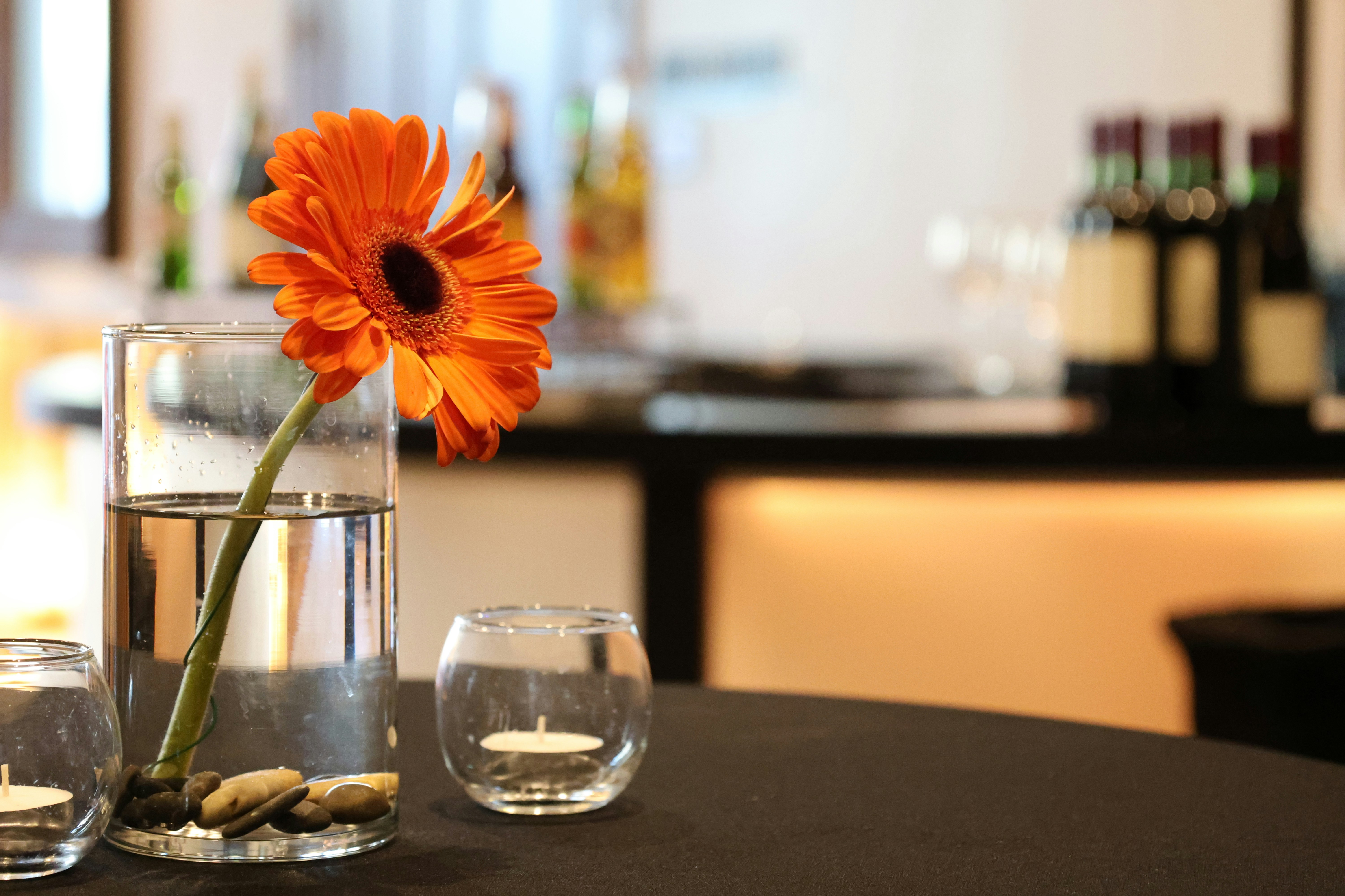 Sunlit Gerbera on a Quiet Bar Table: A Minimal Still-Life Moment