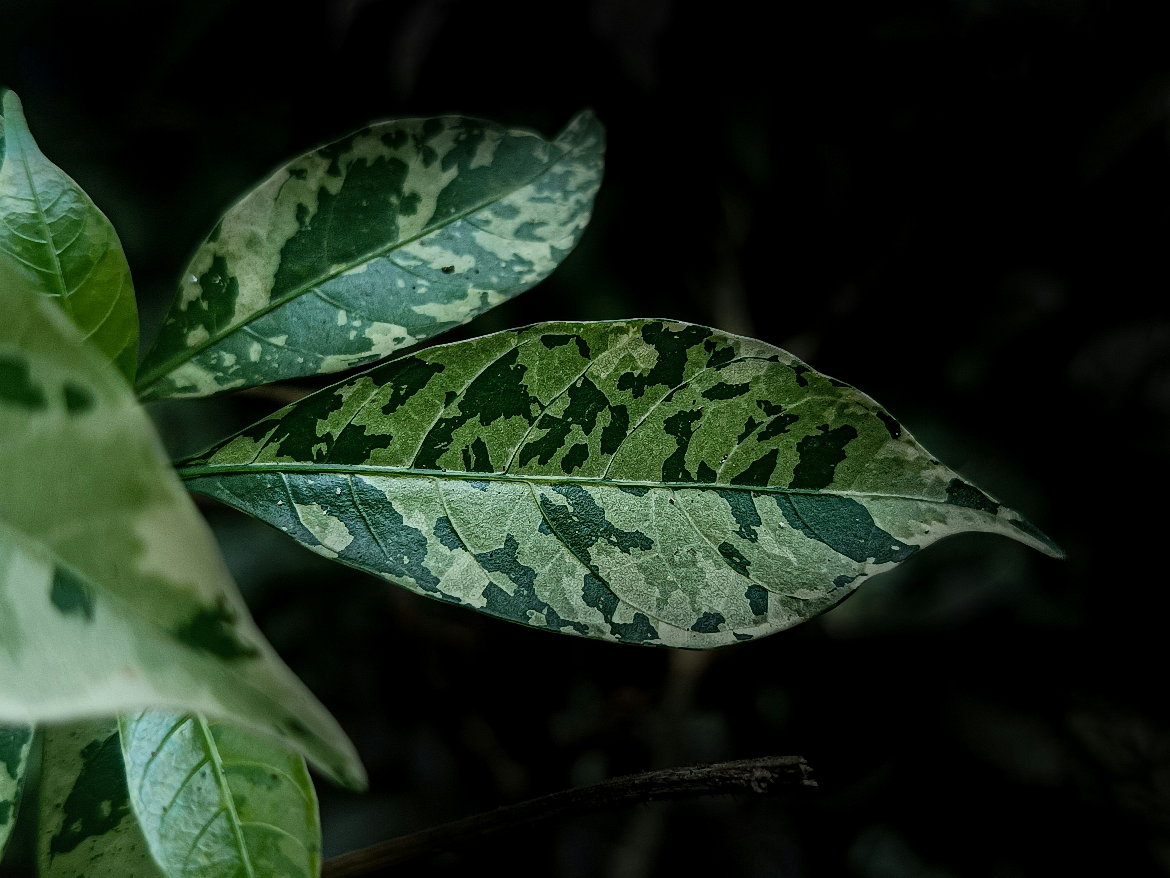 Sample photo from Infinix Note 30 5G