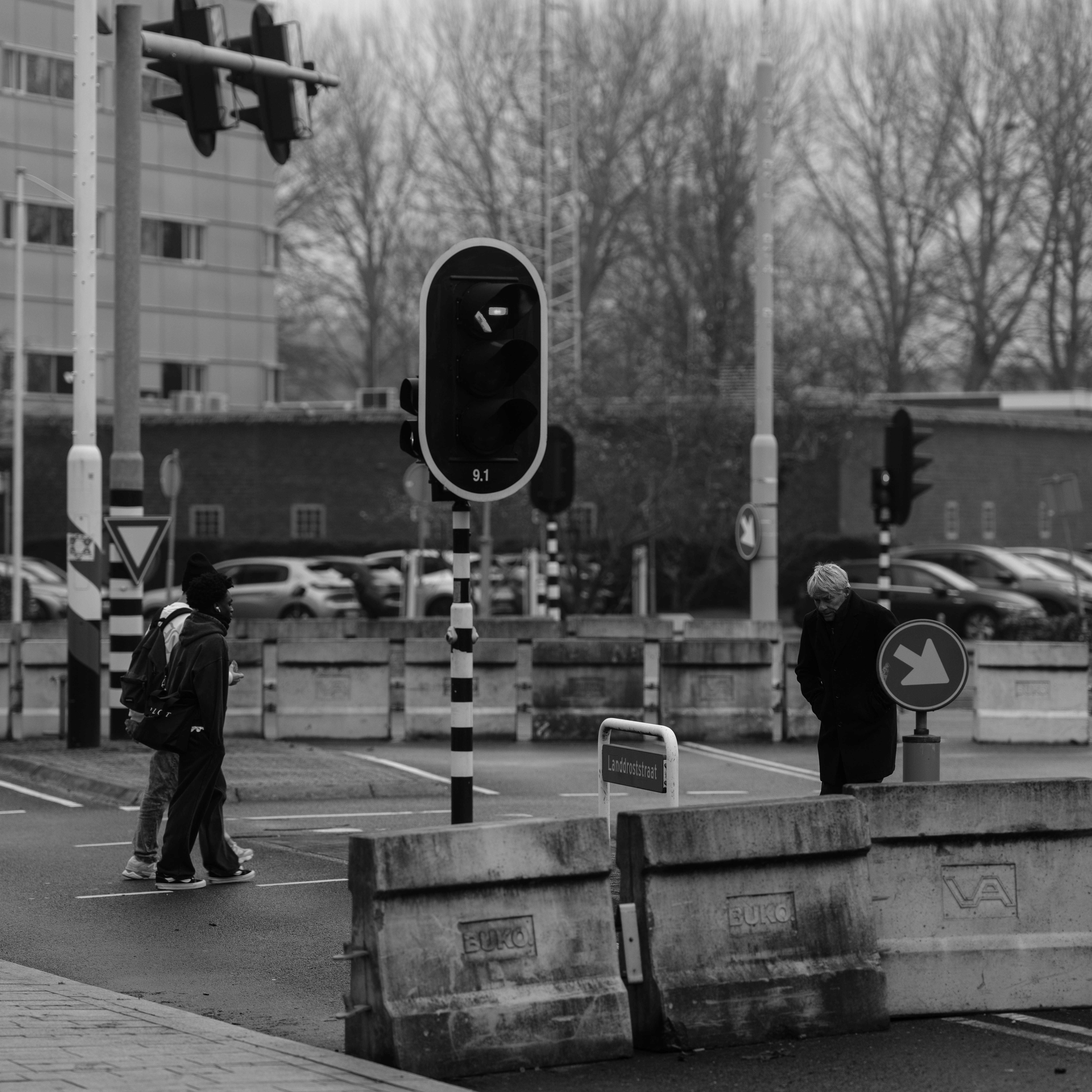 Signal at the Crosswalk: A Quiet Urban Moment in Monochrome
