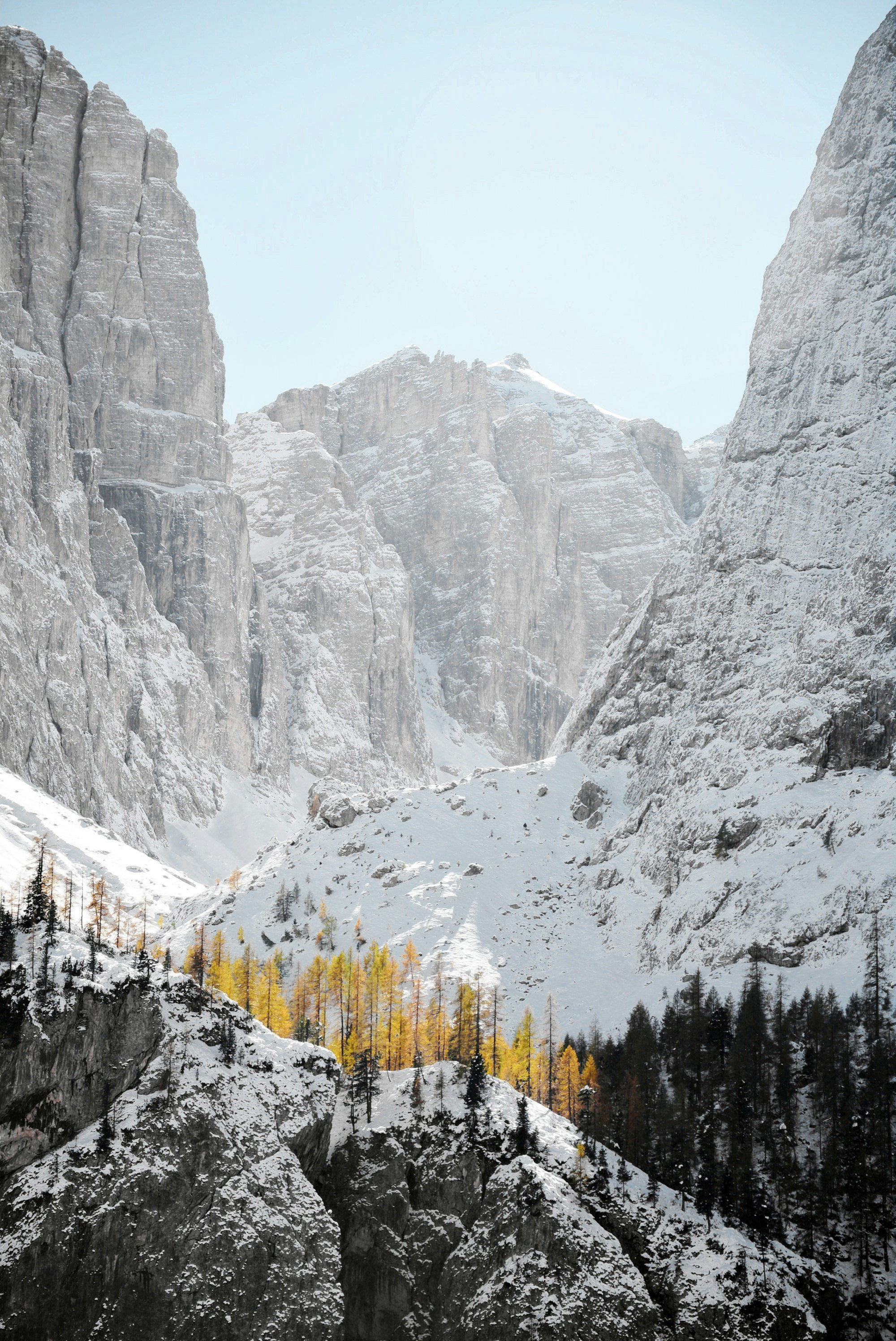 Golden Aspens Framing a Snowbound Granite Gorge