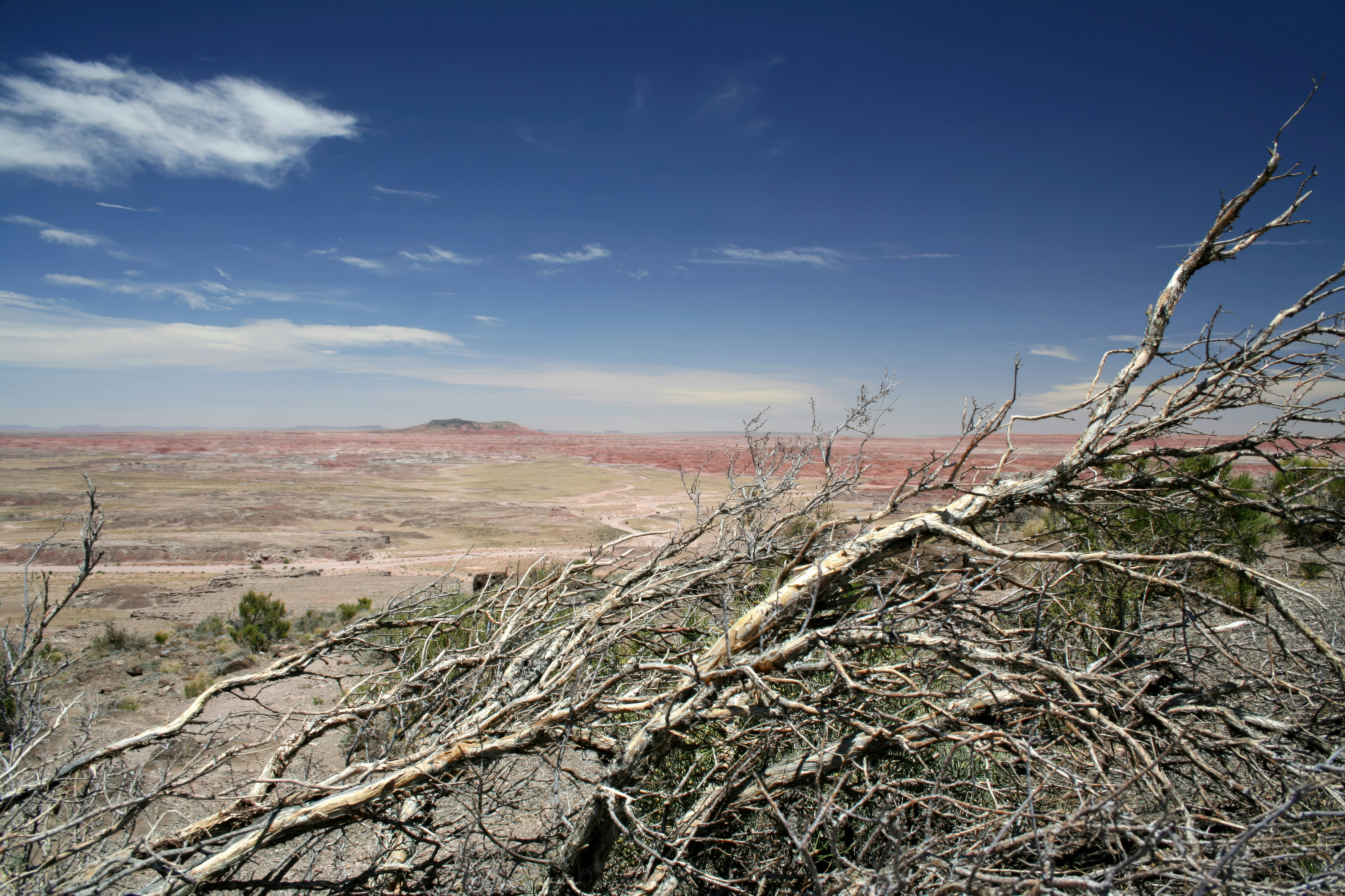 The Painted Desert, with its vibrant layers of color and surreal beauty, is one of the most breathtaking deserts I have ever seen.