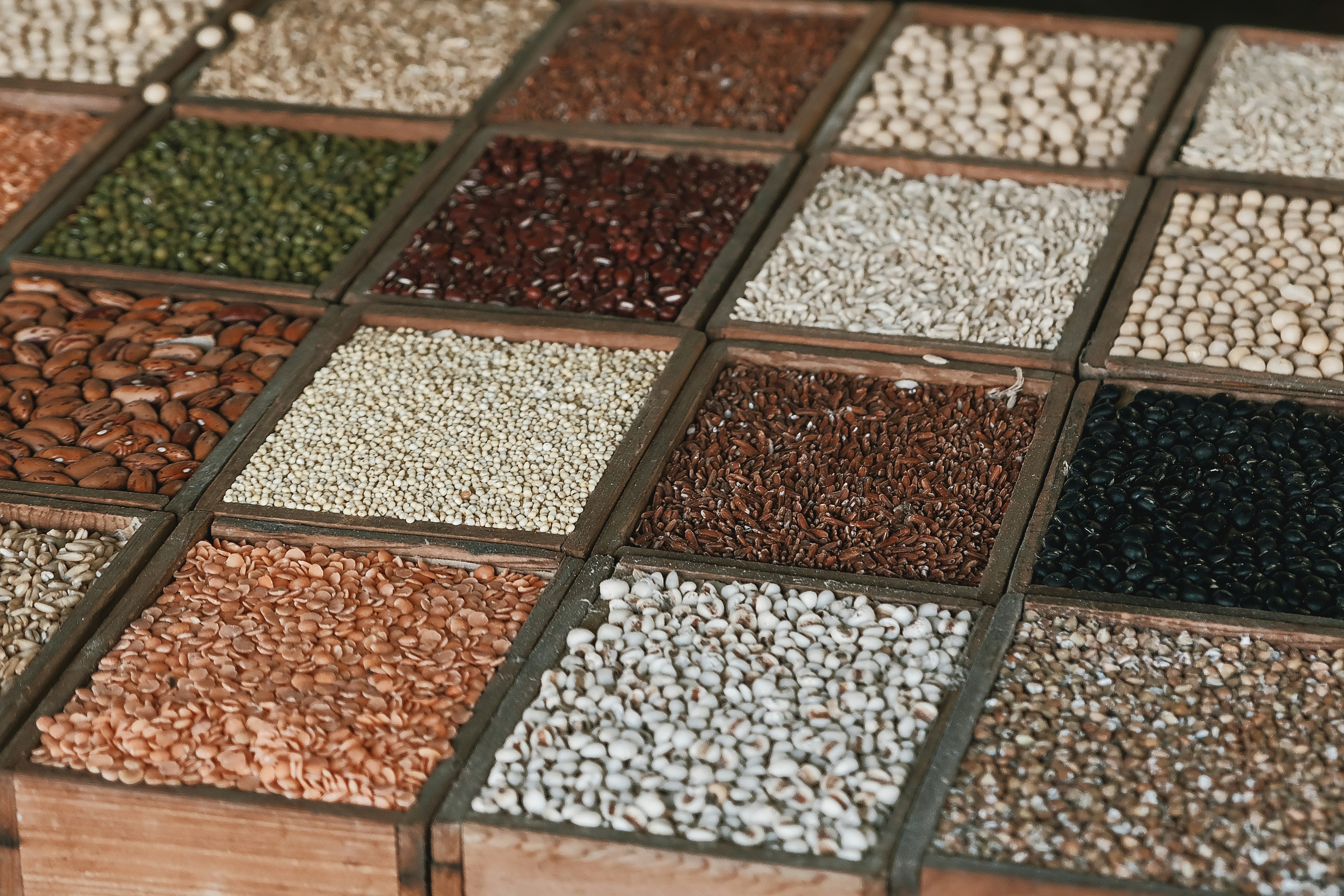 Assorted seeds arranged in a wooden grid, showcasing diverse textures and colors.