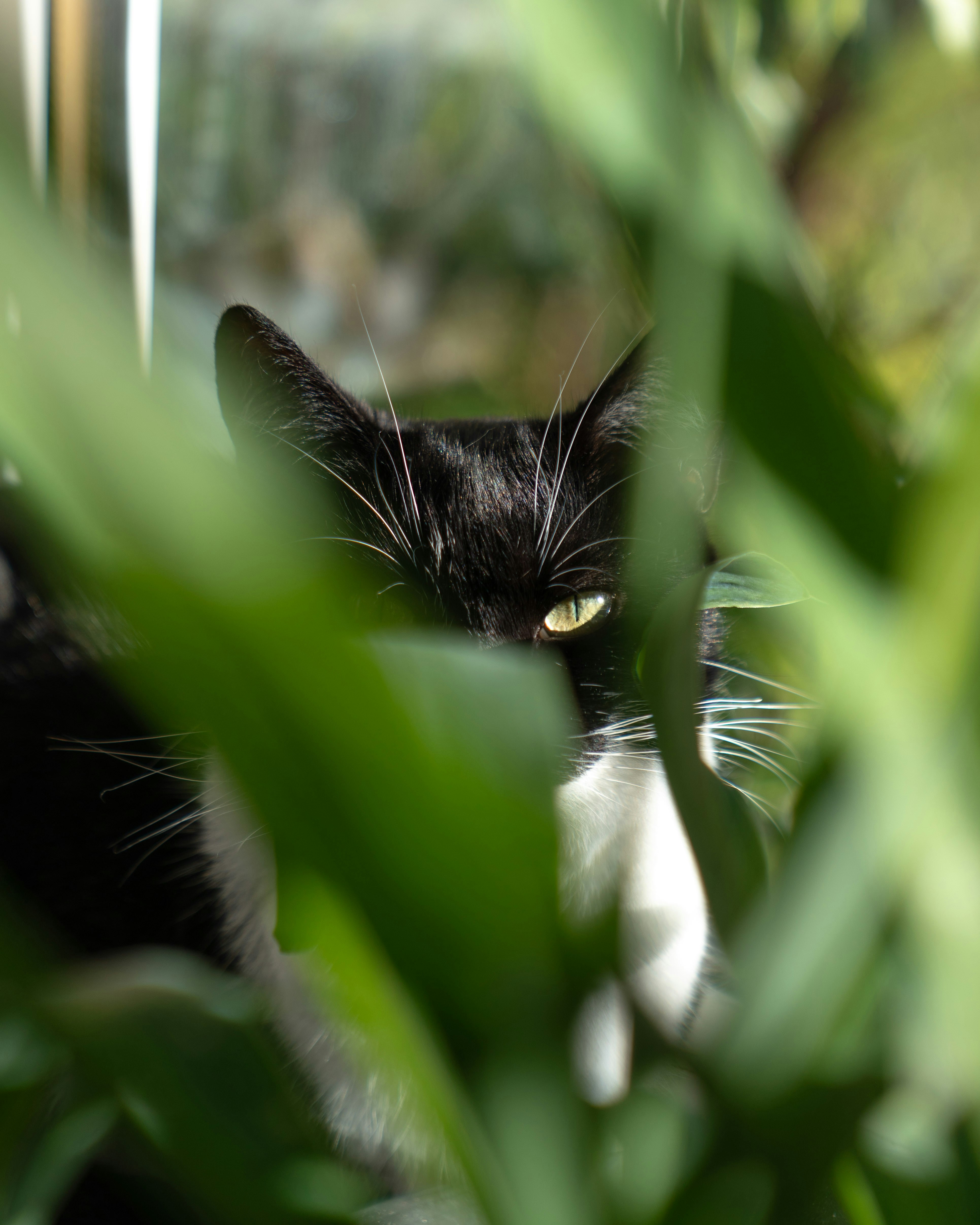 Sula Wilding (@smidgely) | Komunitas Foto Unsplash