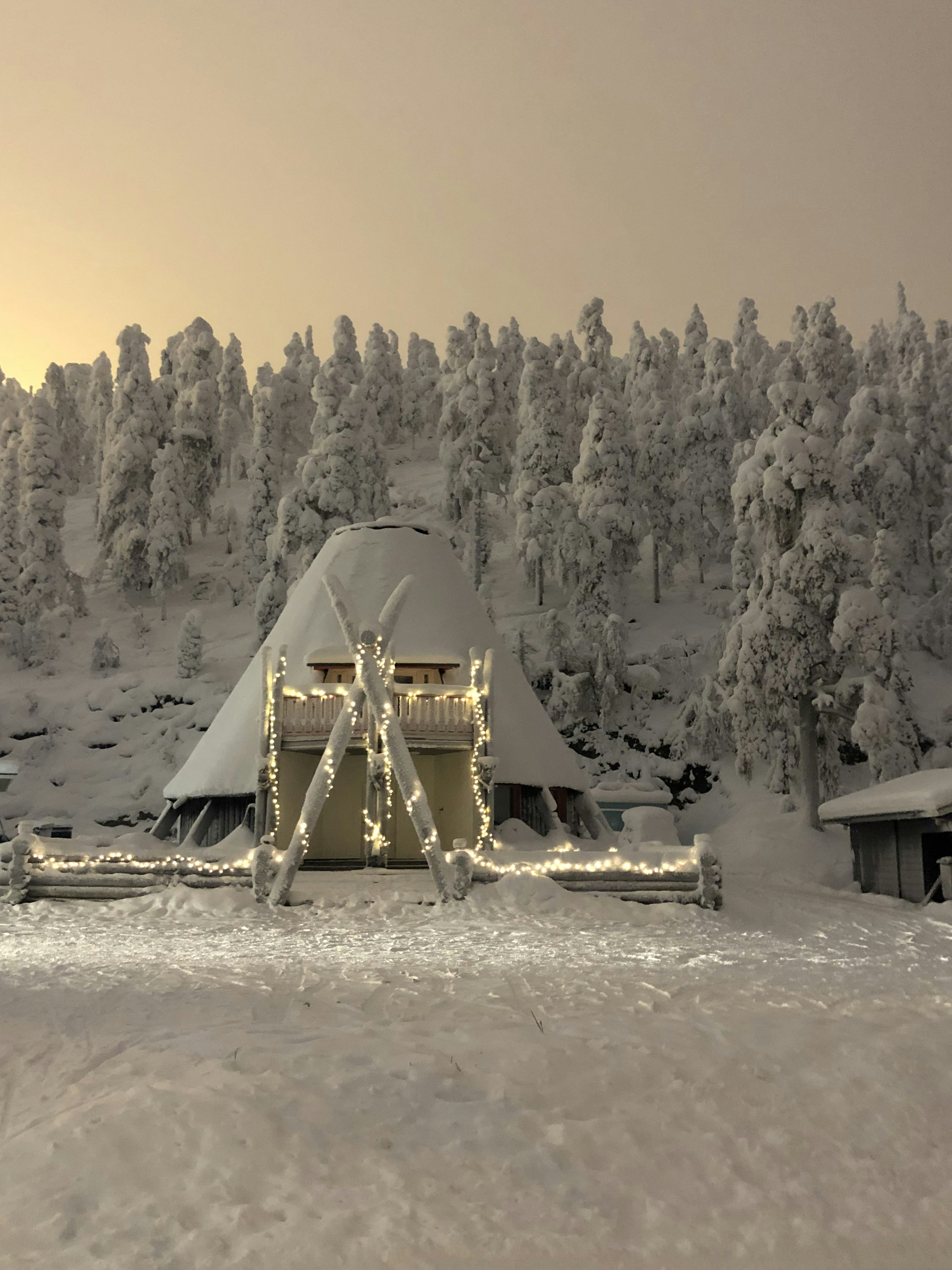 Photo by Henniina Salomäki with Apple iPhone X