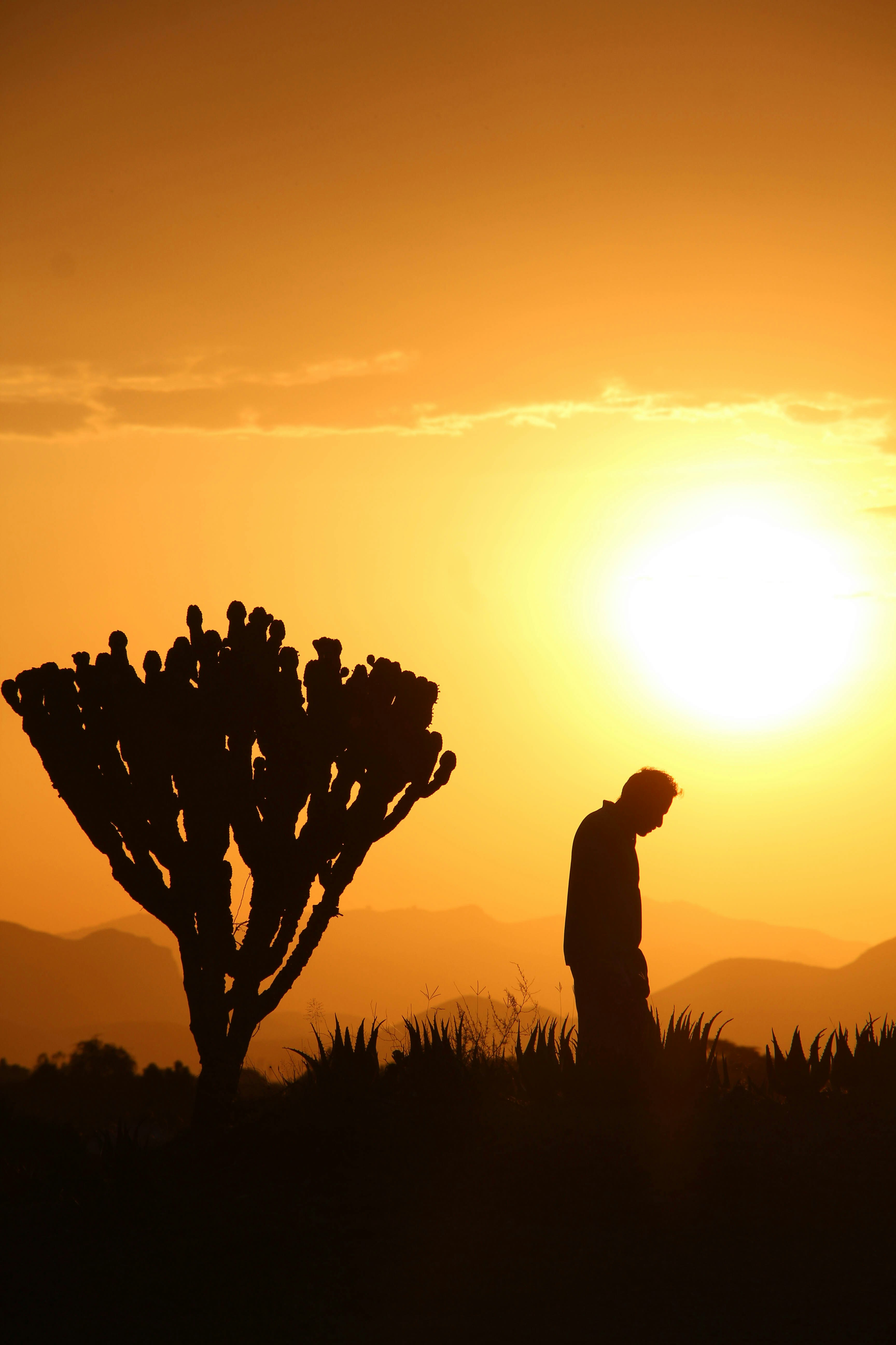 captured in real time.