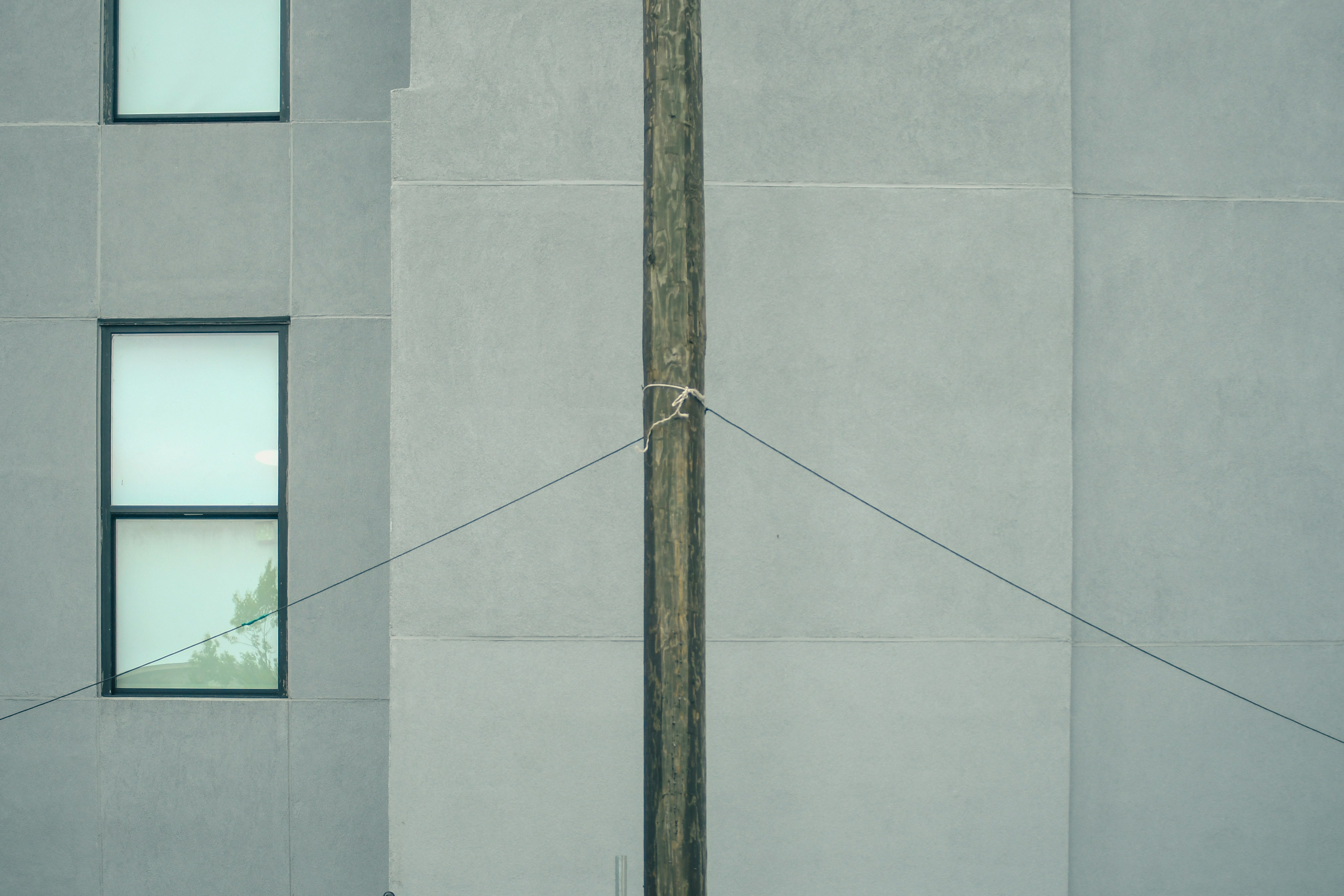 Photo by Meg with Nikon D7500