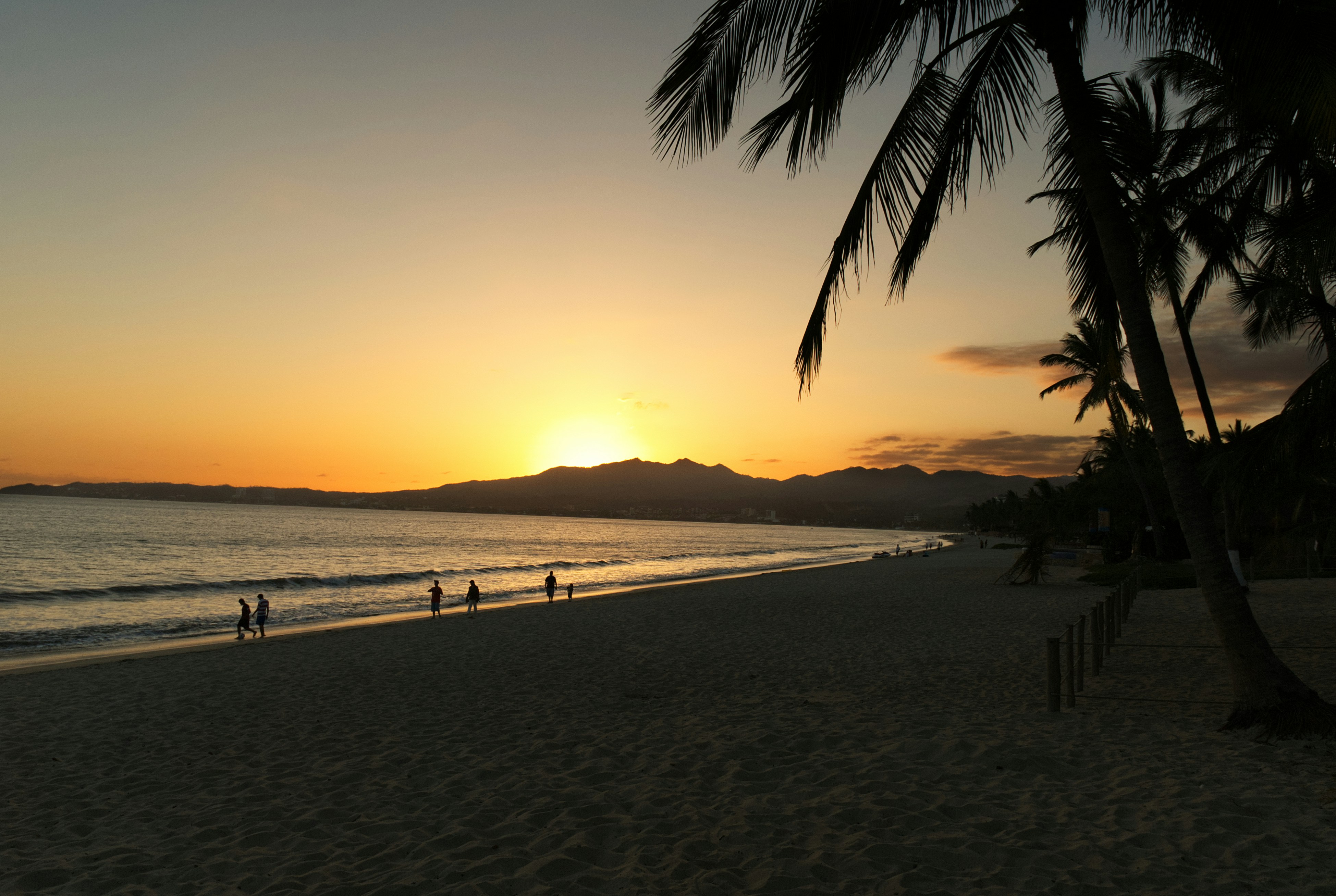 Silhouetted palm trees frame a peaceful sunset over Bucerias beach.