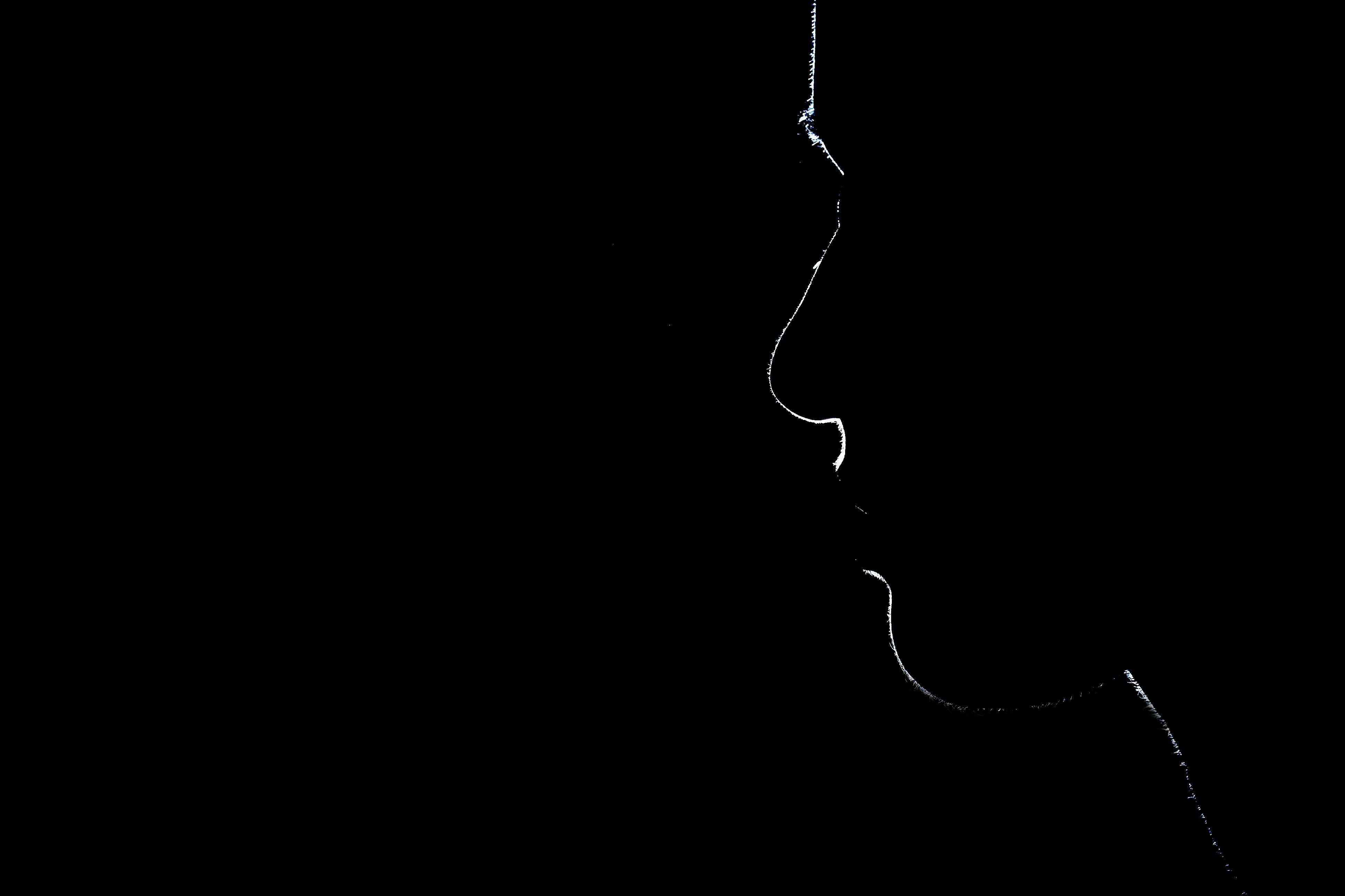 Profile silhouette with a delicate glow outlining facial contours against a black background.