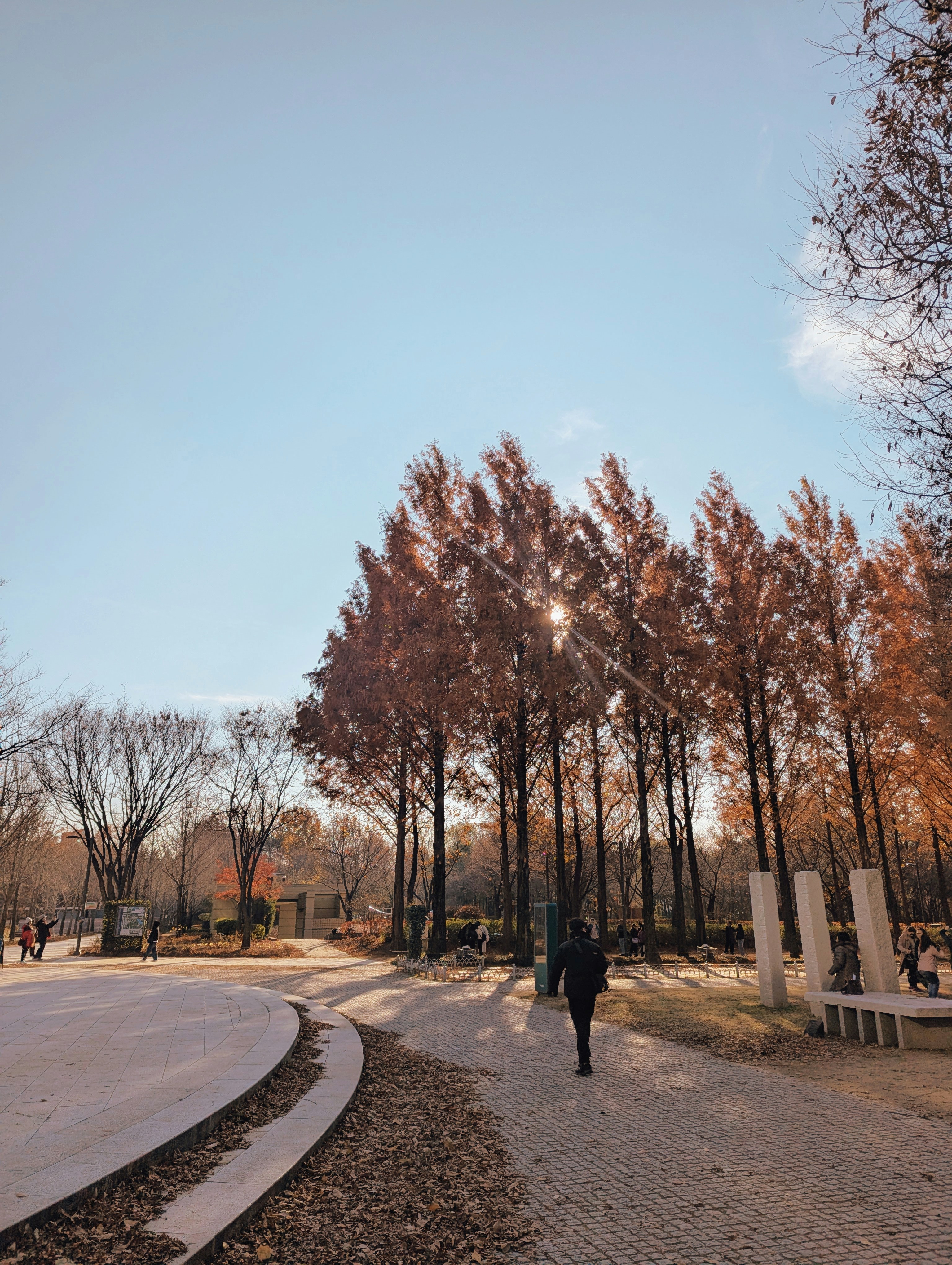 Photo by note thanun with Google Pixel 6