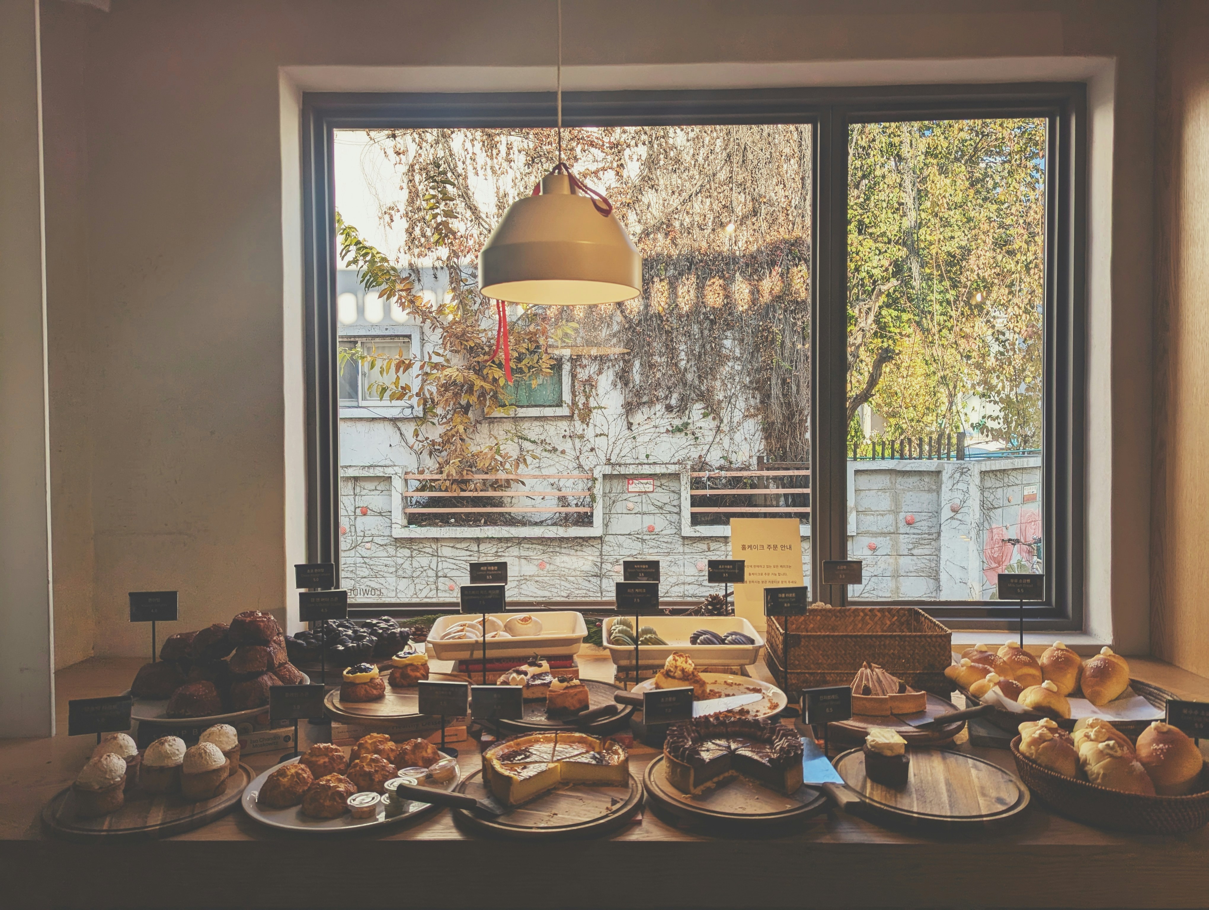 Assorted pastries displayed on a table with a view of a sunlit window and autumn foliage.