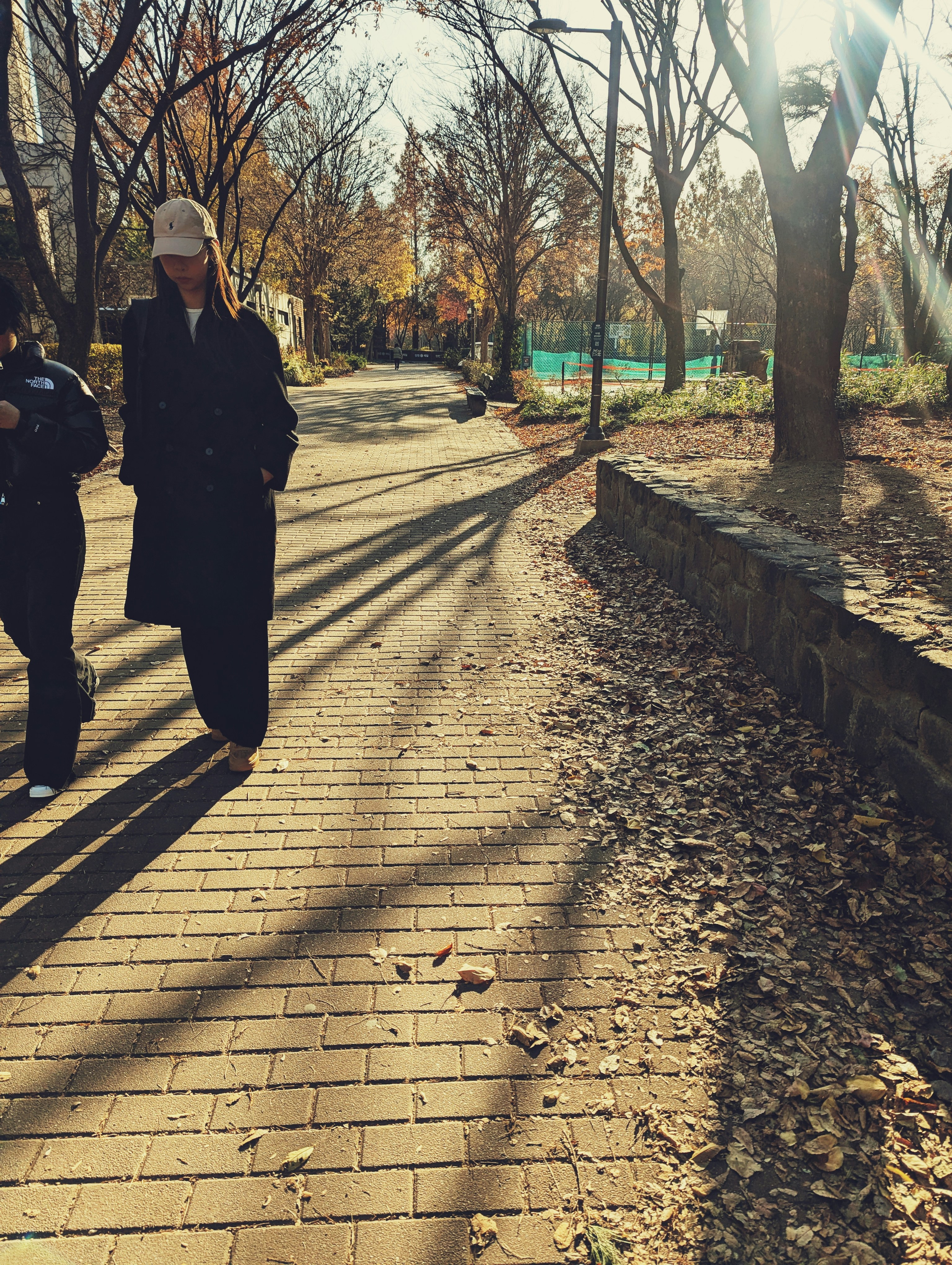 Autumn Quiet: Long Shadows on a City Park Path