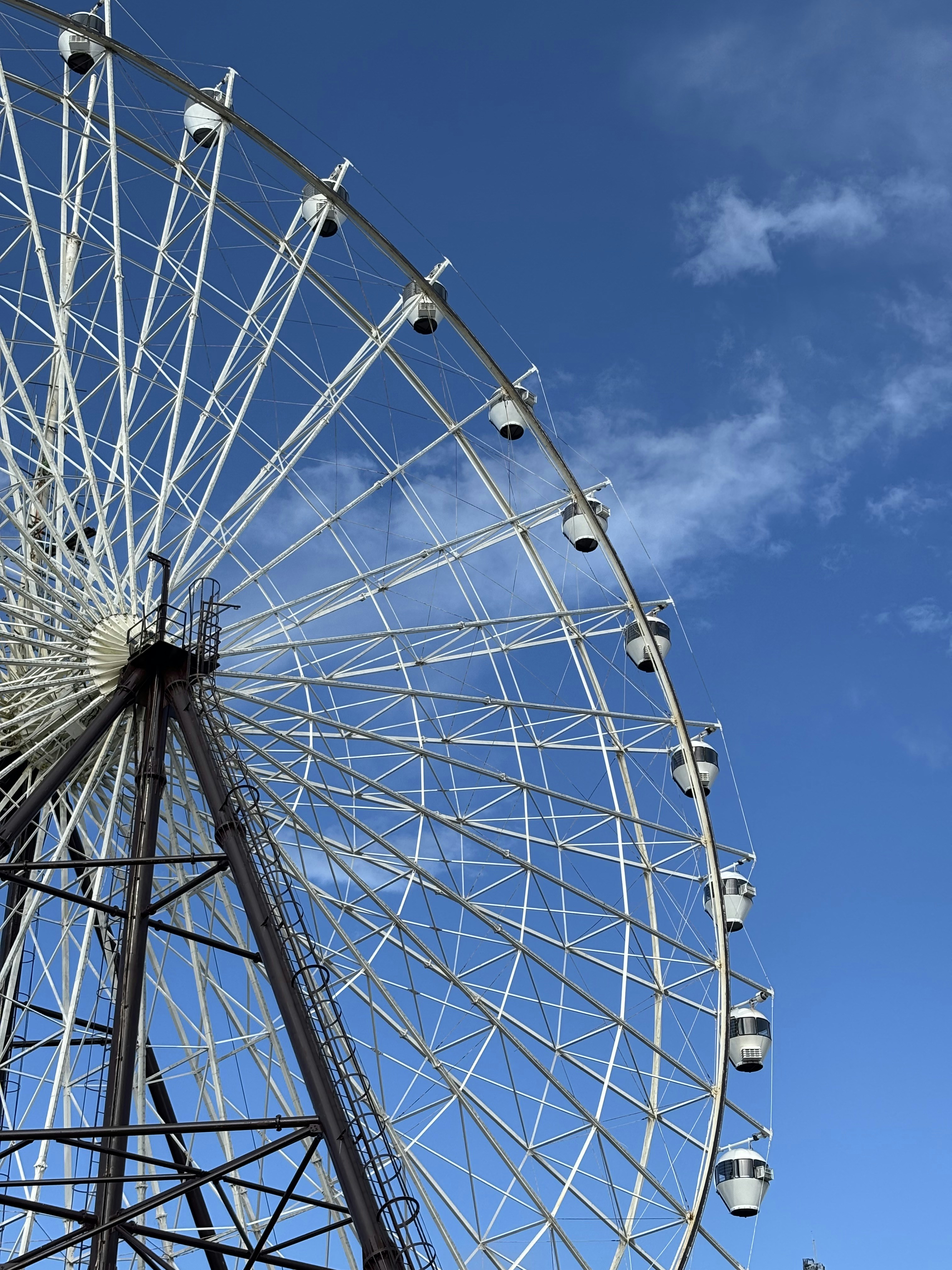 Skyward Spin: The Dance of the Ferris Wheel
