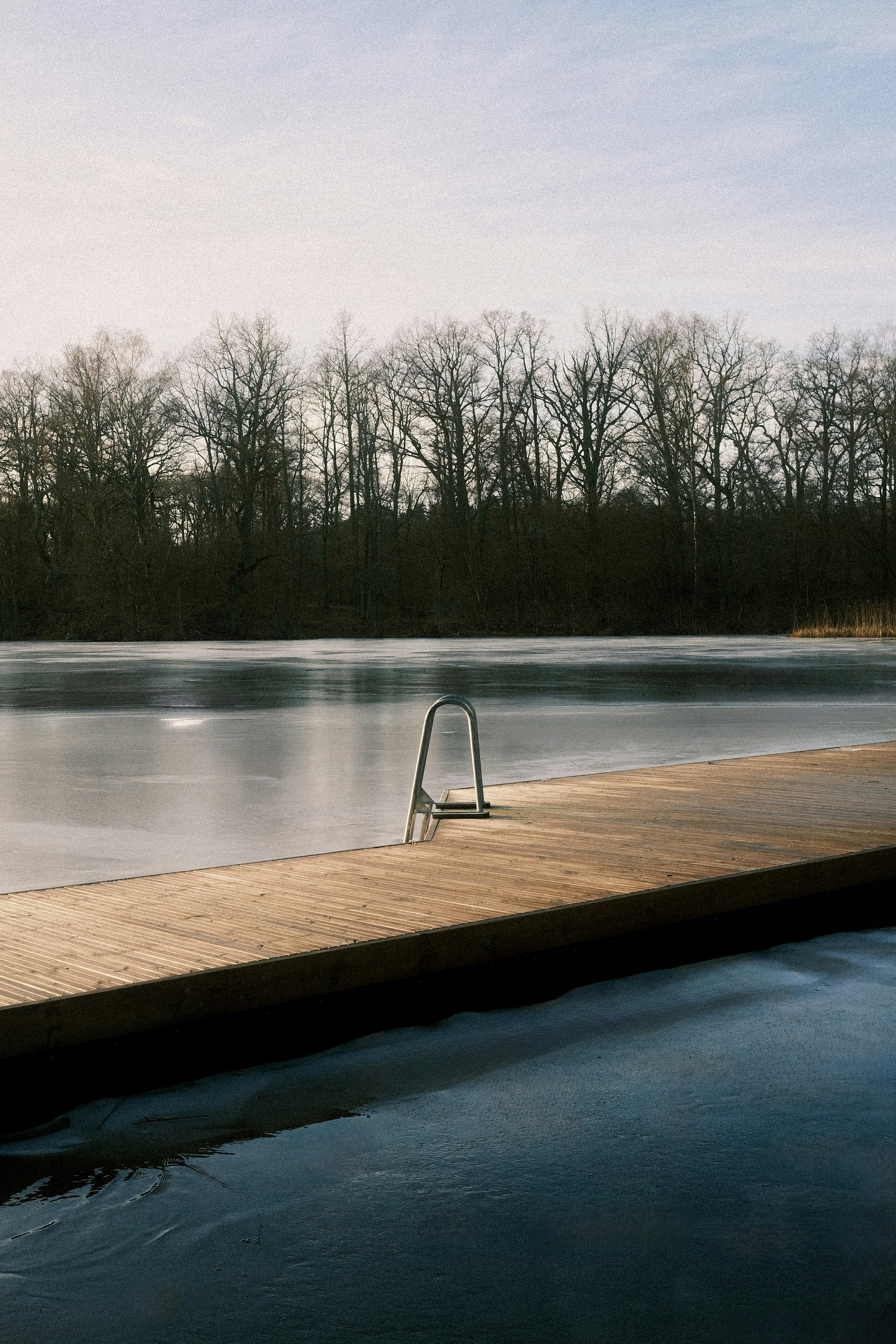 Frozen Pier at Dusk: A Quiet Pool by the Woodland Edge