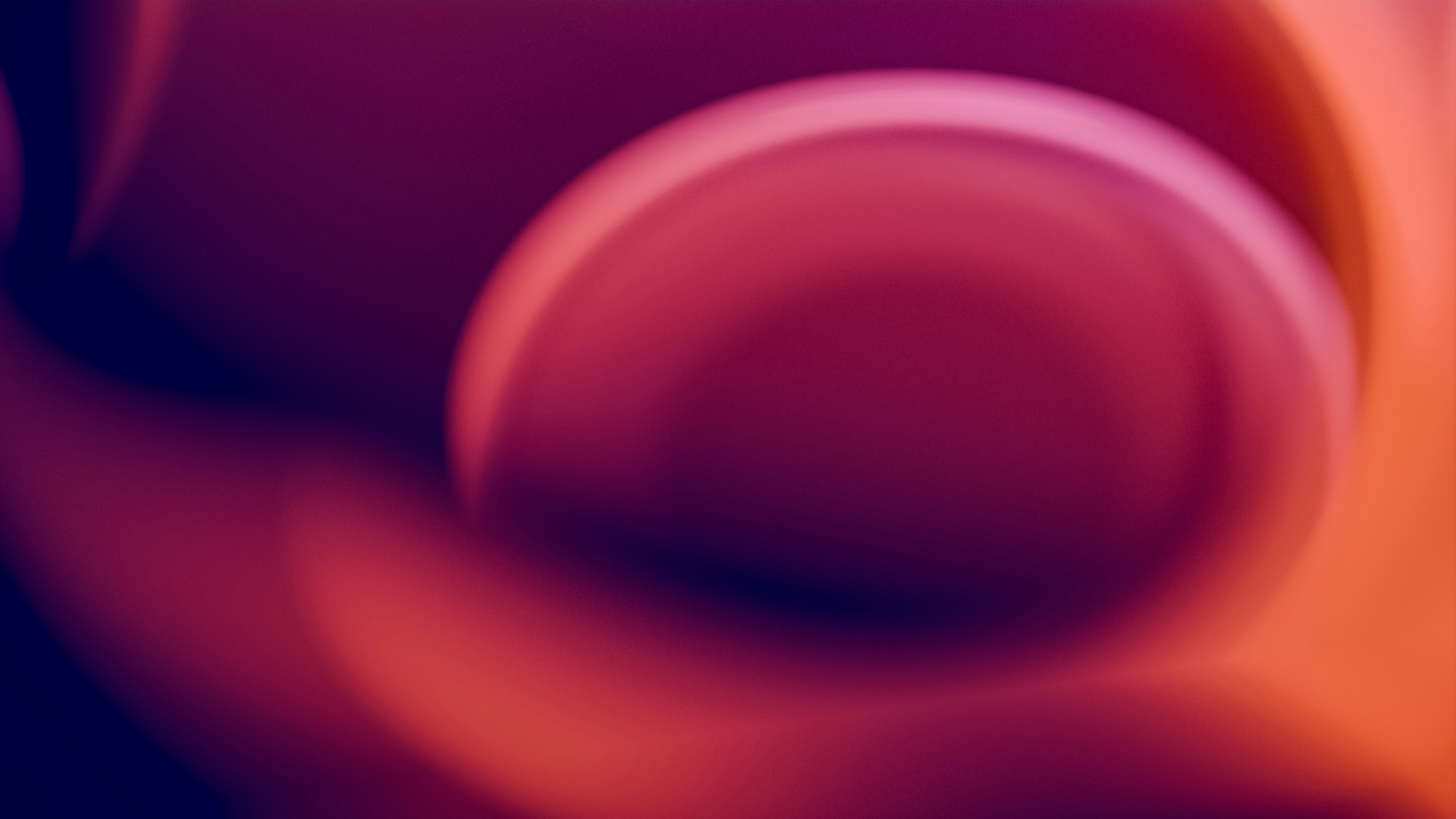 Steve Johnson (@steve_j) | Unsplash Photo Community