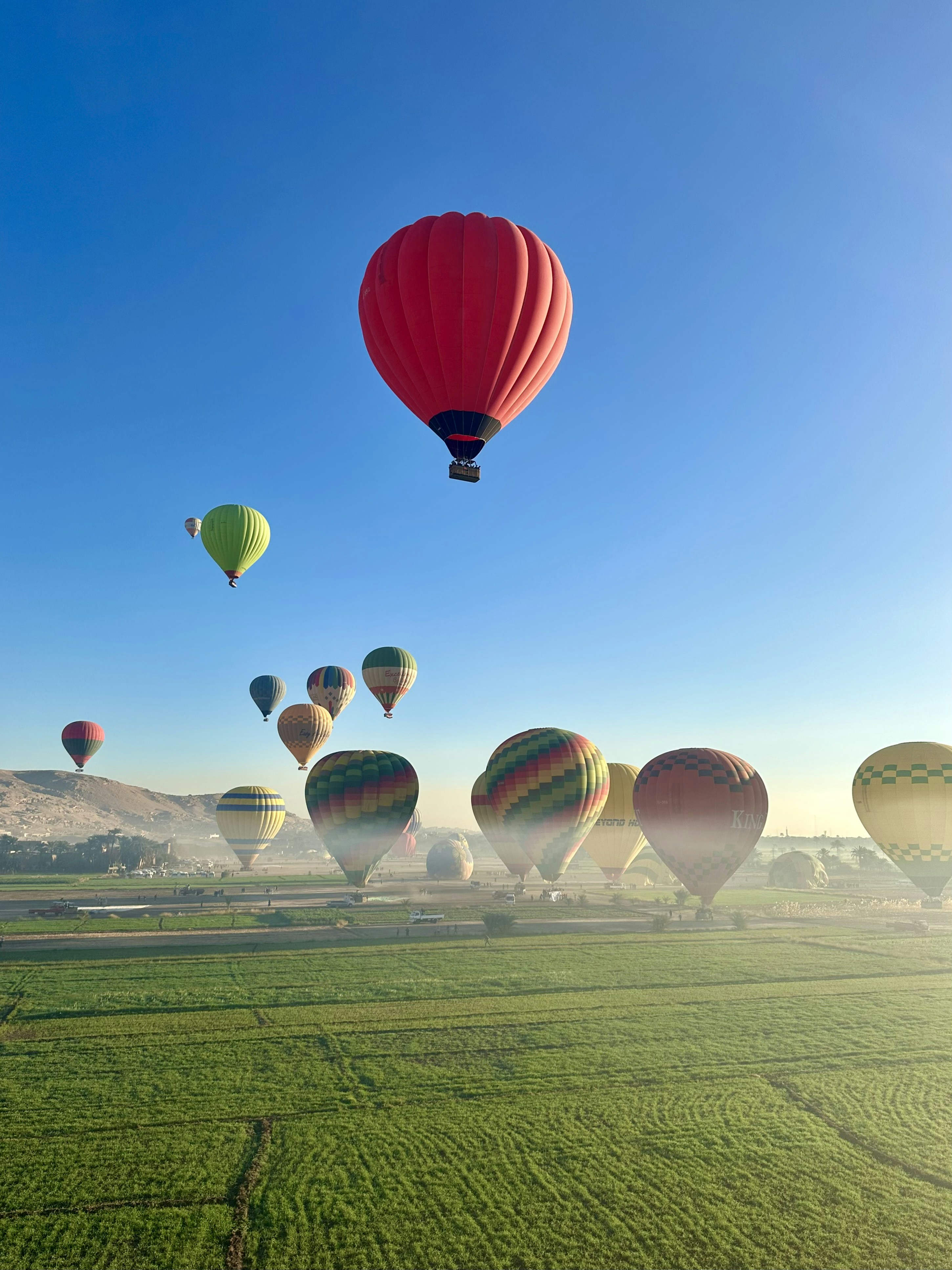 Crimson Balloon Over Dawn's Green Field: A Skyward Parade