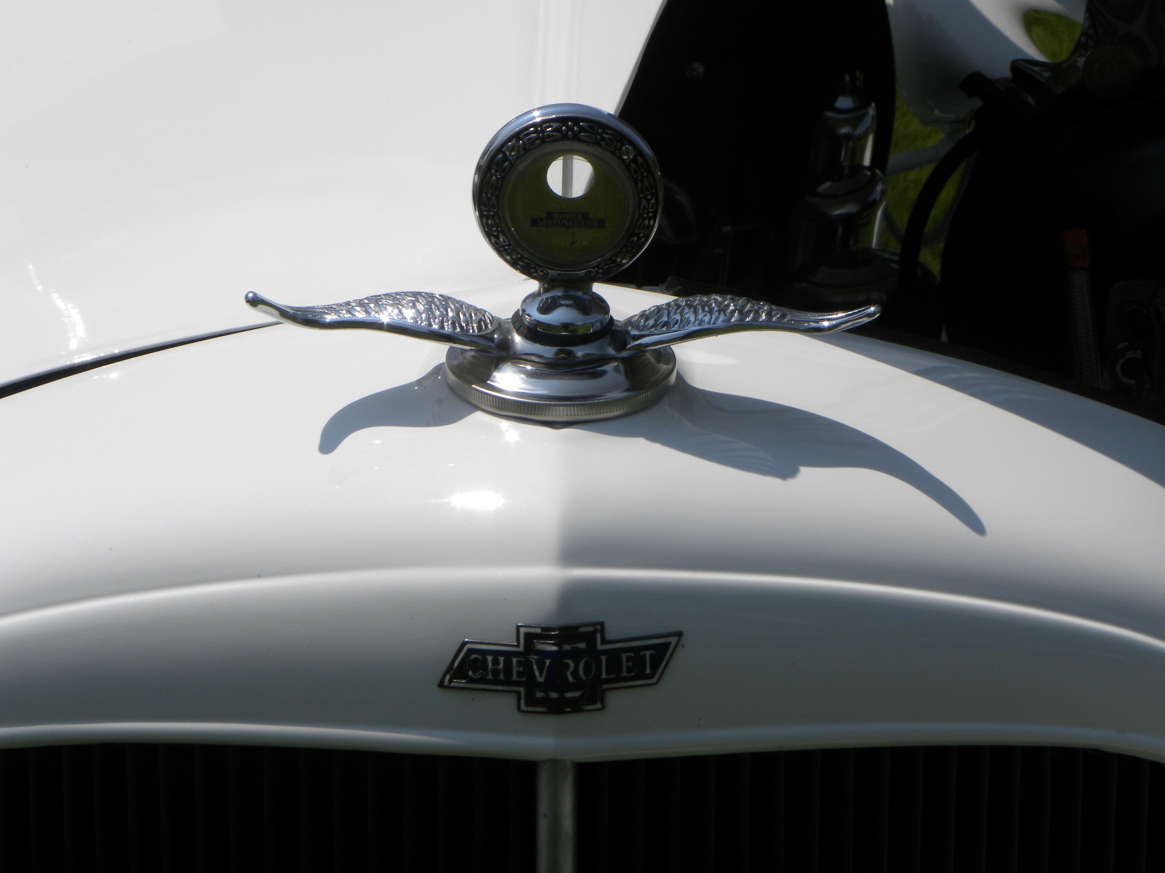 Chrome Wings on White: Chevrolet Hood Emblem Close-Up