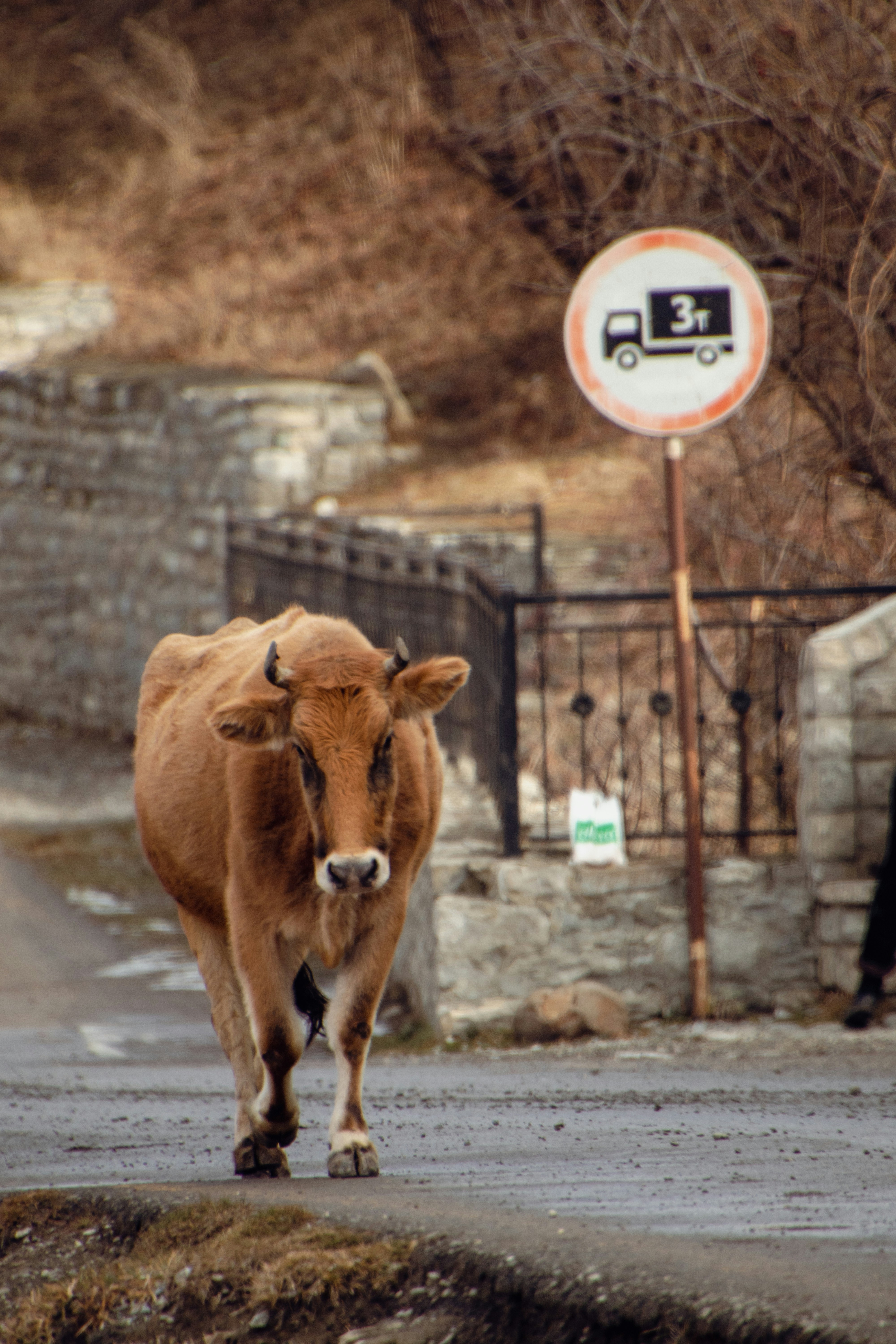 Photo by Tatiana Mokhova with Canon EOS 77D