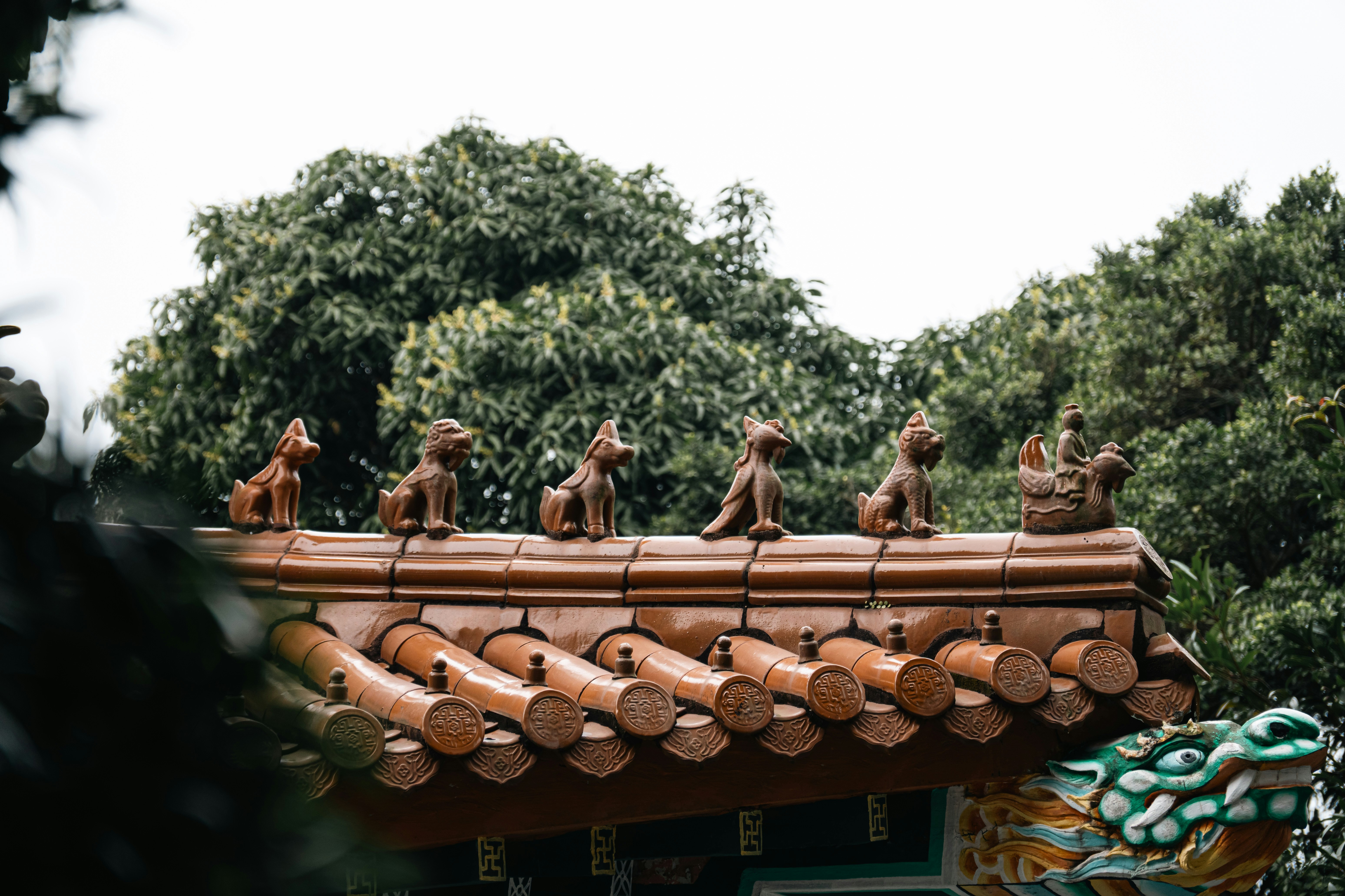 A group of people riding on top of a roof photo – Free Human Image on ...
