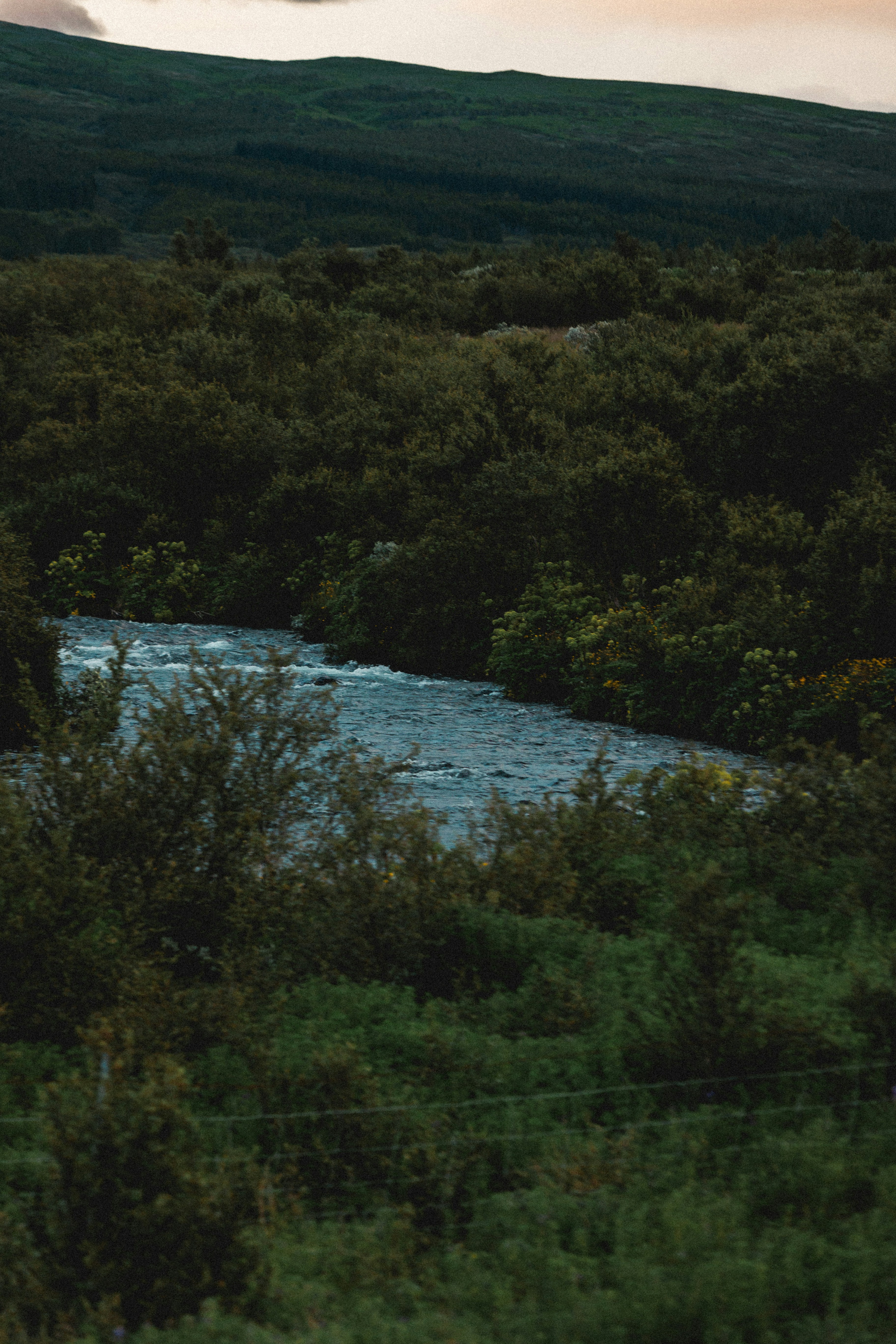 Whispers of the Gentle Stream