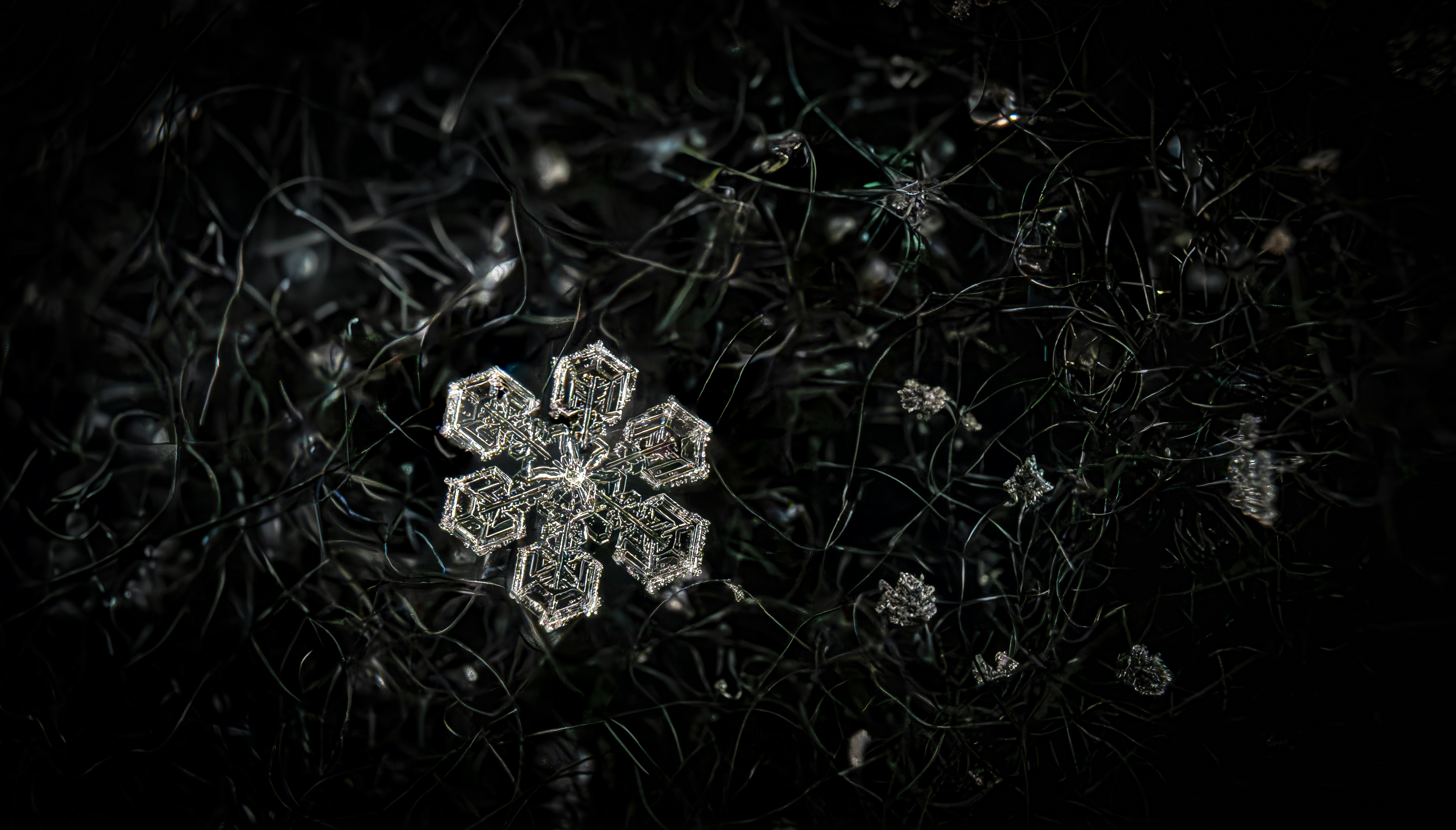 Close-up of a detailed snowflake resting on dark fibers.