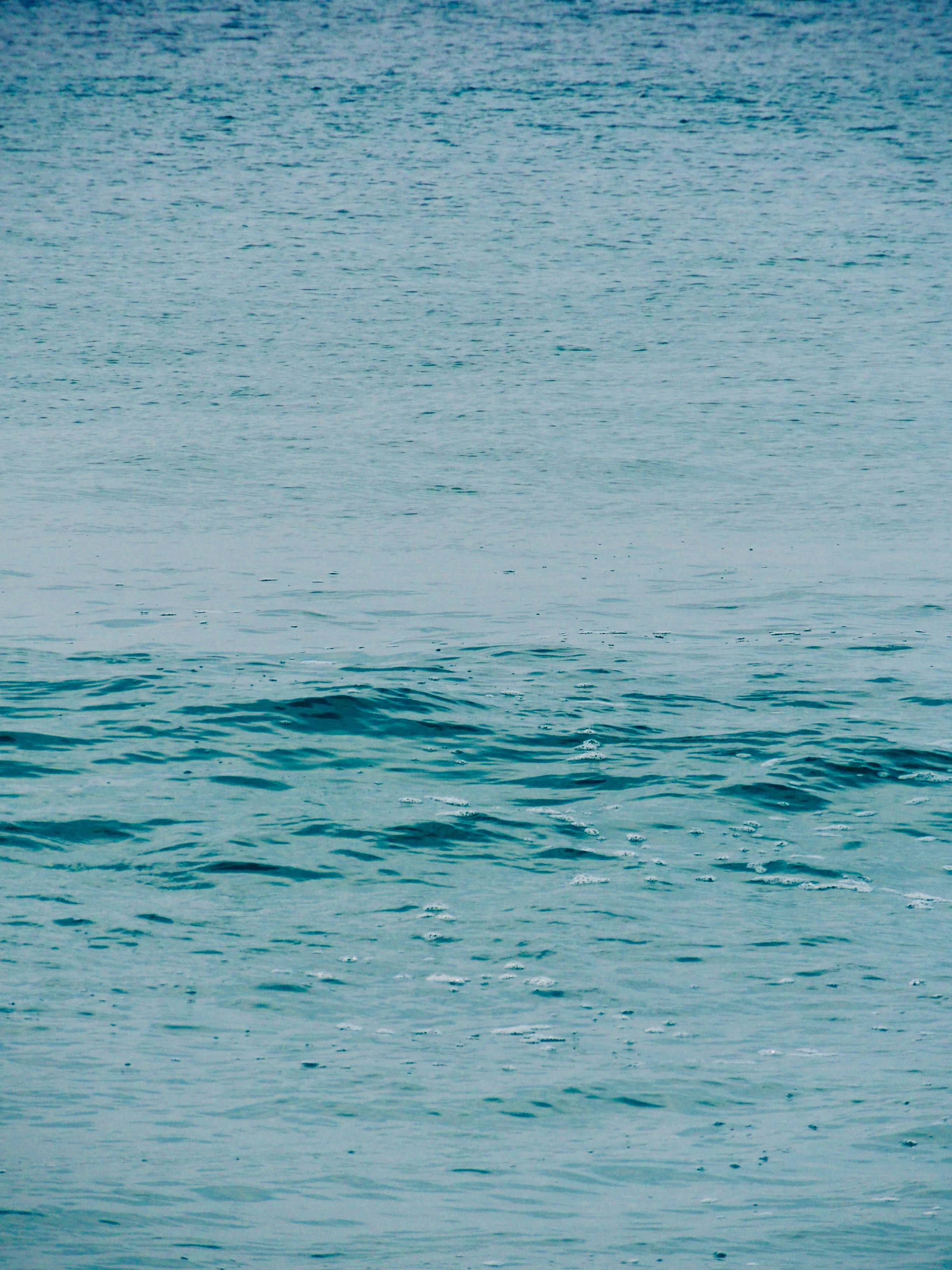 Turquoise Tide: A Quiet Gradient Across the Sea Surface