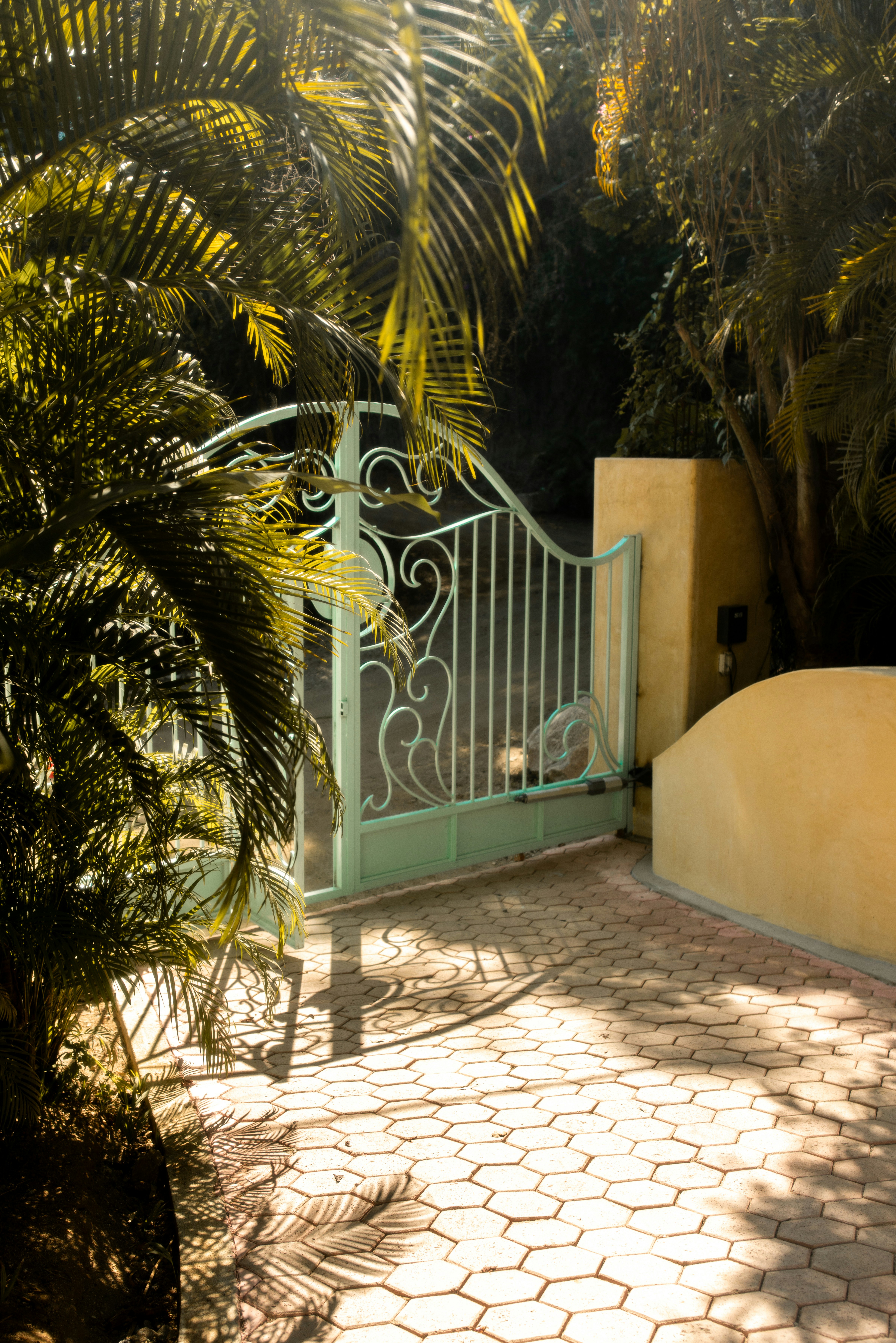 Teal Iron Gate Framed by Palm Shadows on a Hex-Tiled Path