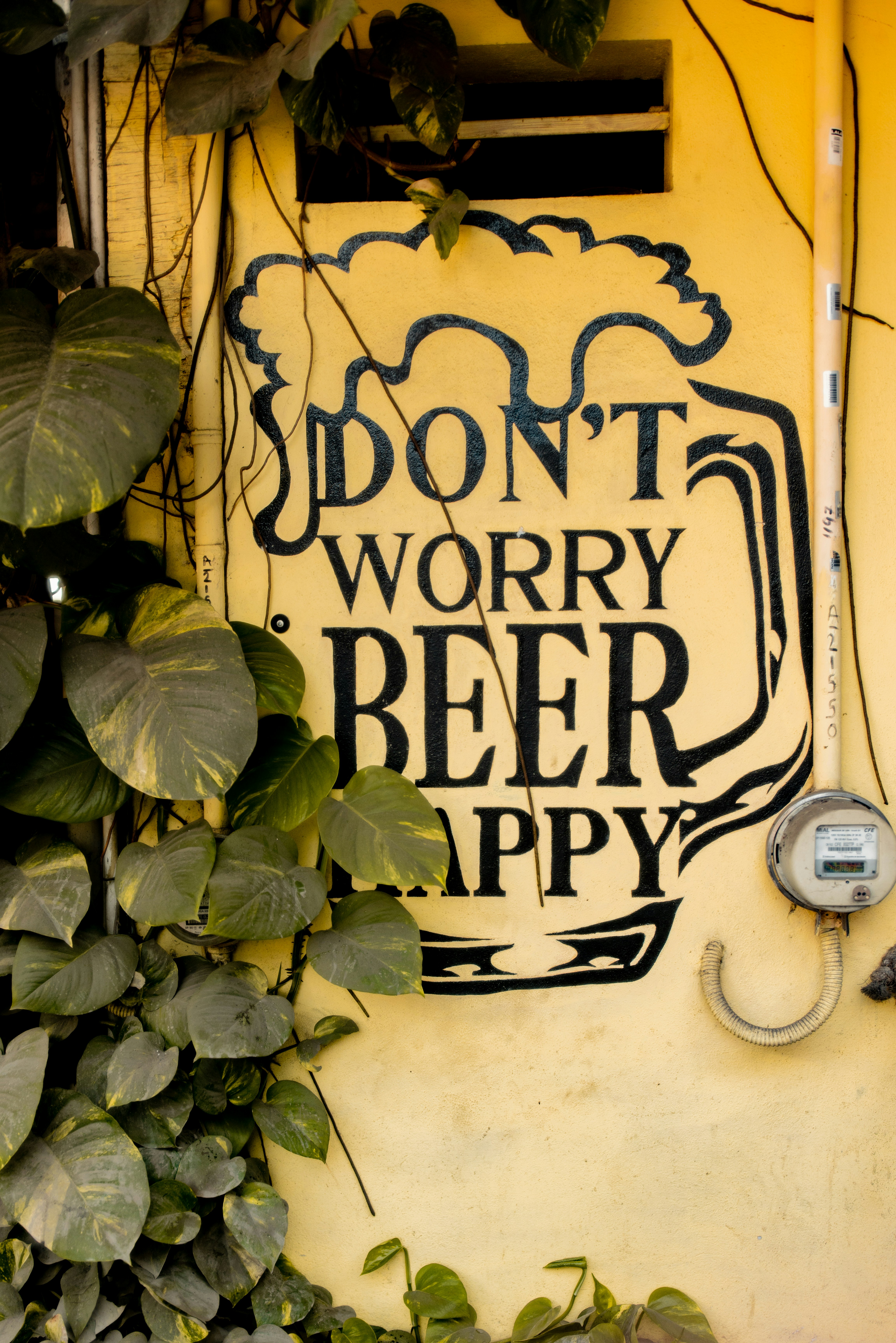 Playful wall art featuring the phrase 'DON'T WORRY BEER HAPPY' surrounded by lush green leaves. Perfect blend of humor and nature.
