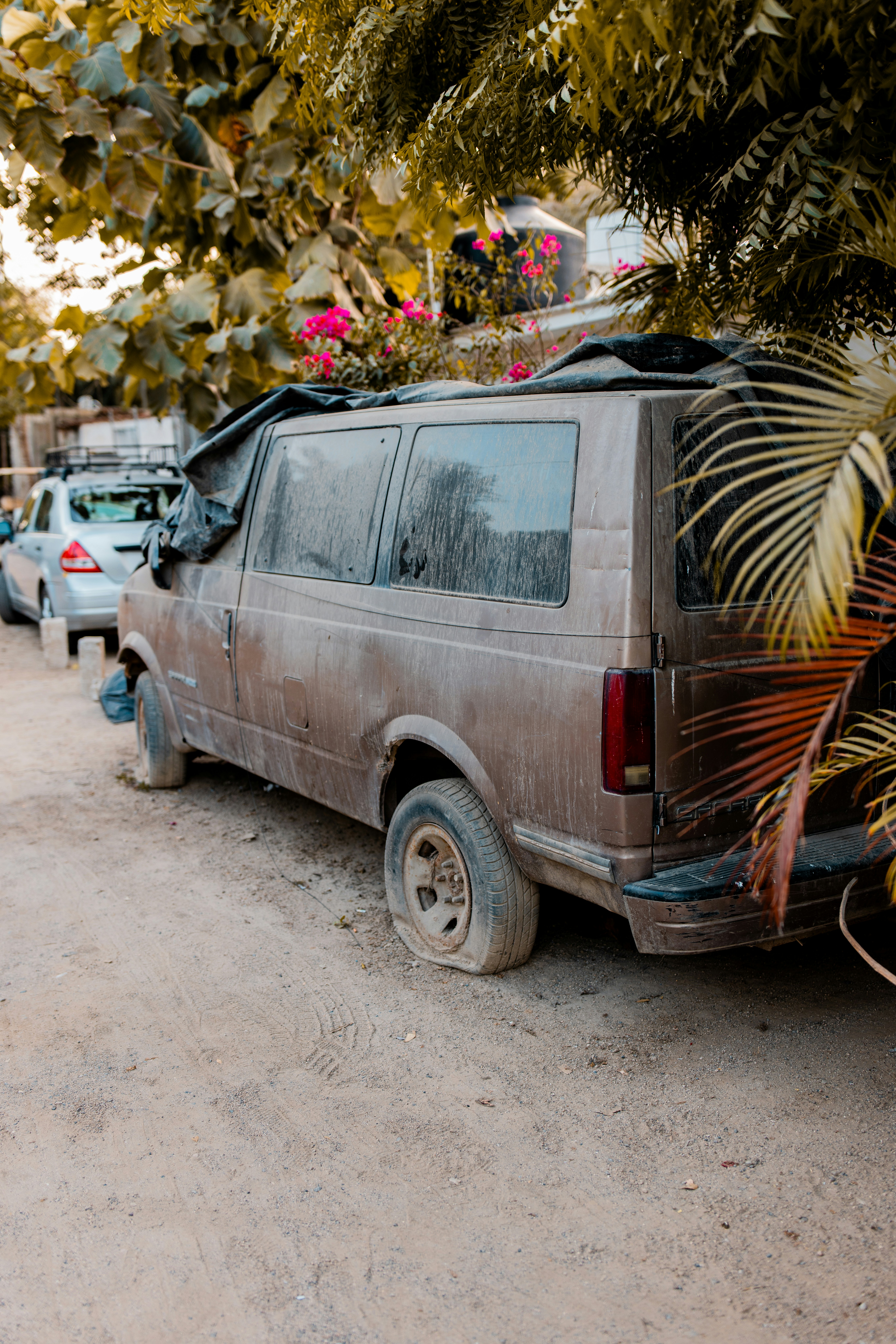 Dusty Van in a Shaded Yard under Tropical Foliage
