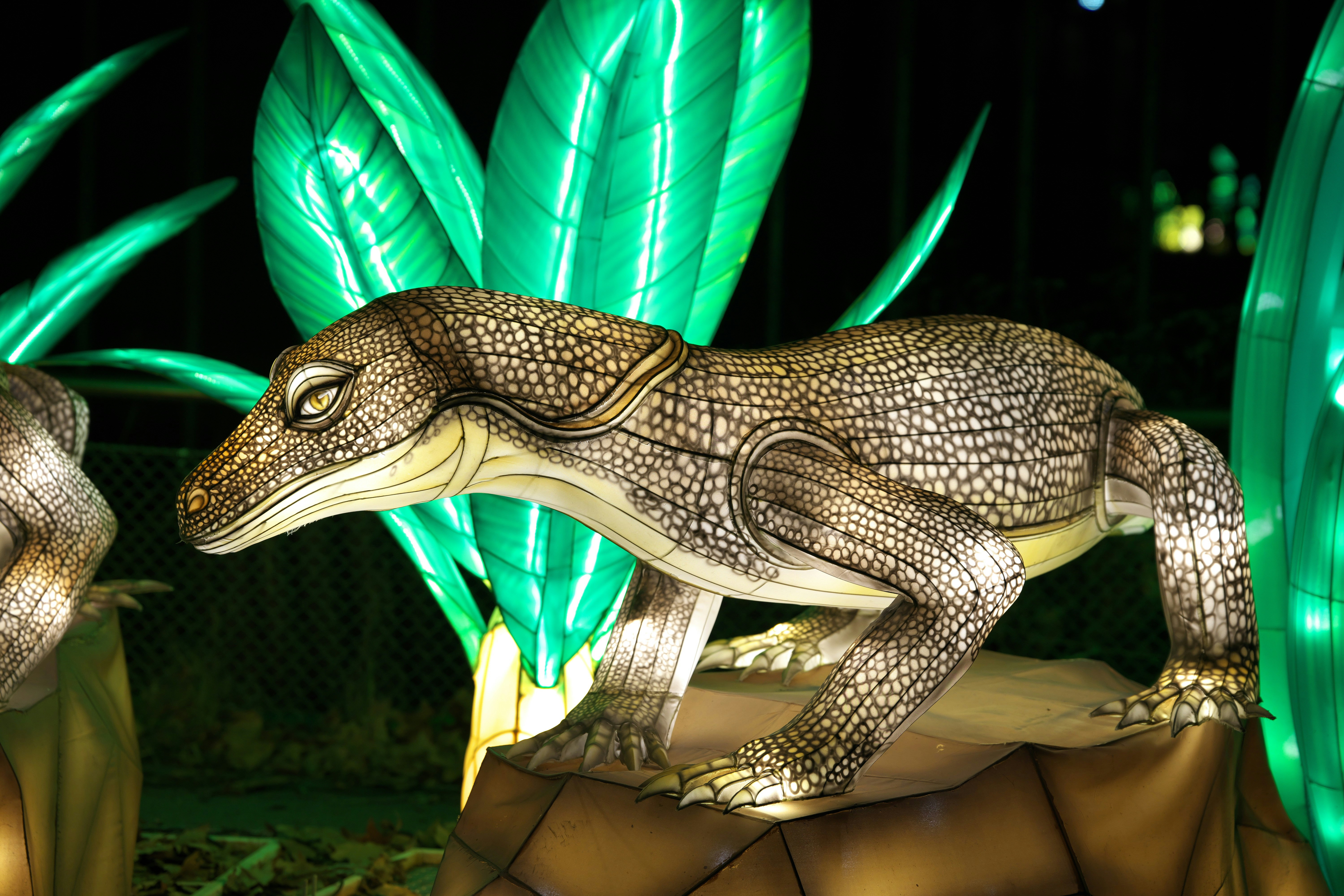 Gecko Under Emerald Radiance: A Nighttime Neon-Sculpture Installation