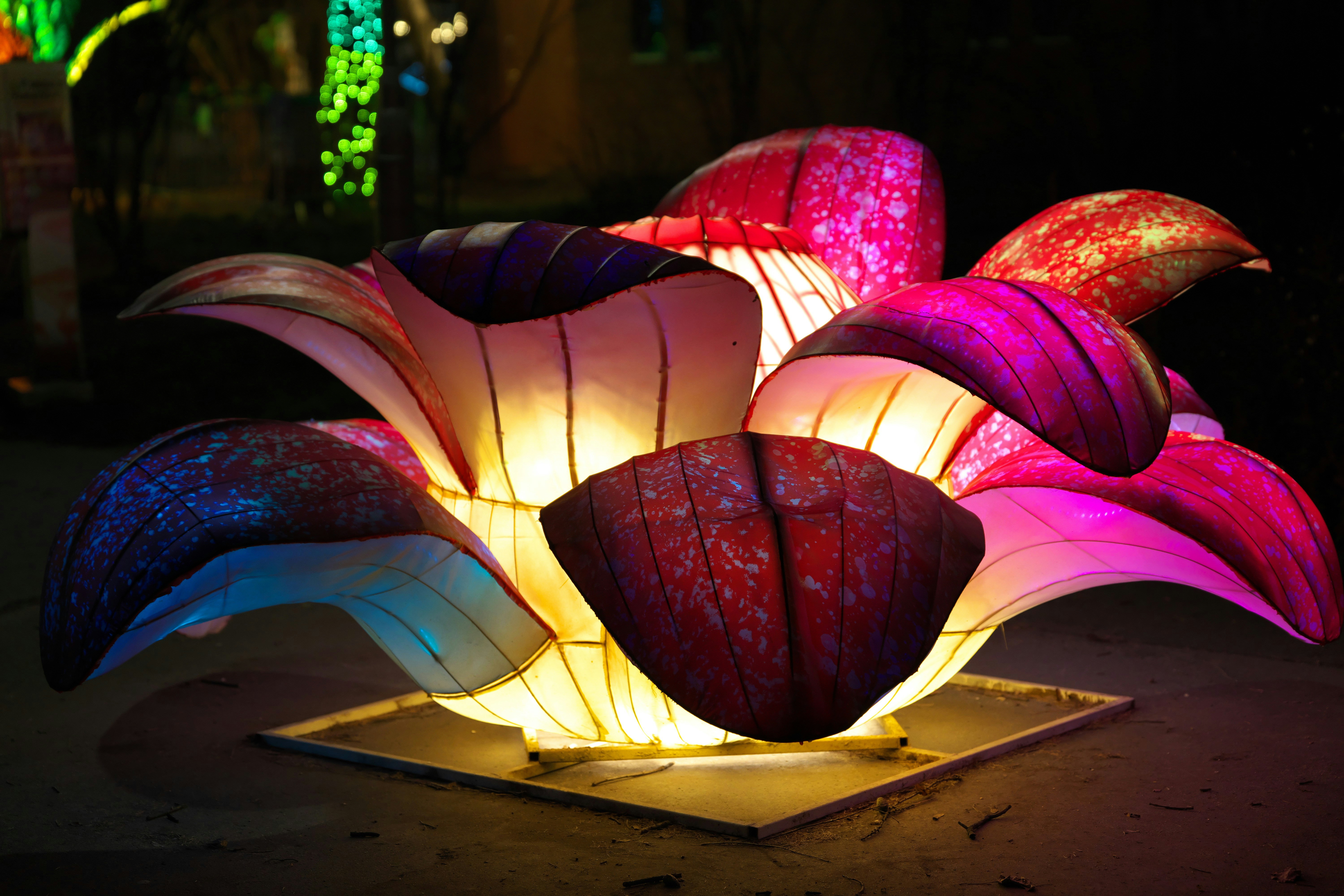 Glowflower Lanterns: Night-Blooming Petals in a Quiet Plaza